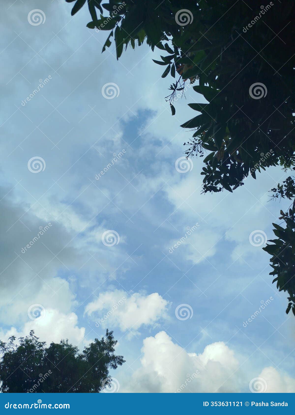 Clear Sky at Noon with Trees Stock Image - Image of blue, reflection ...