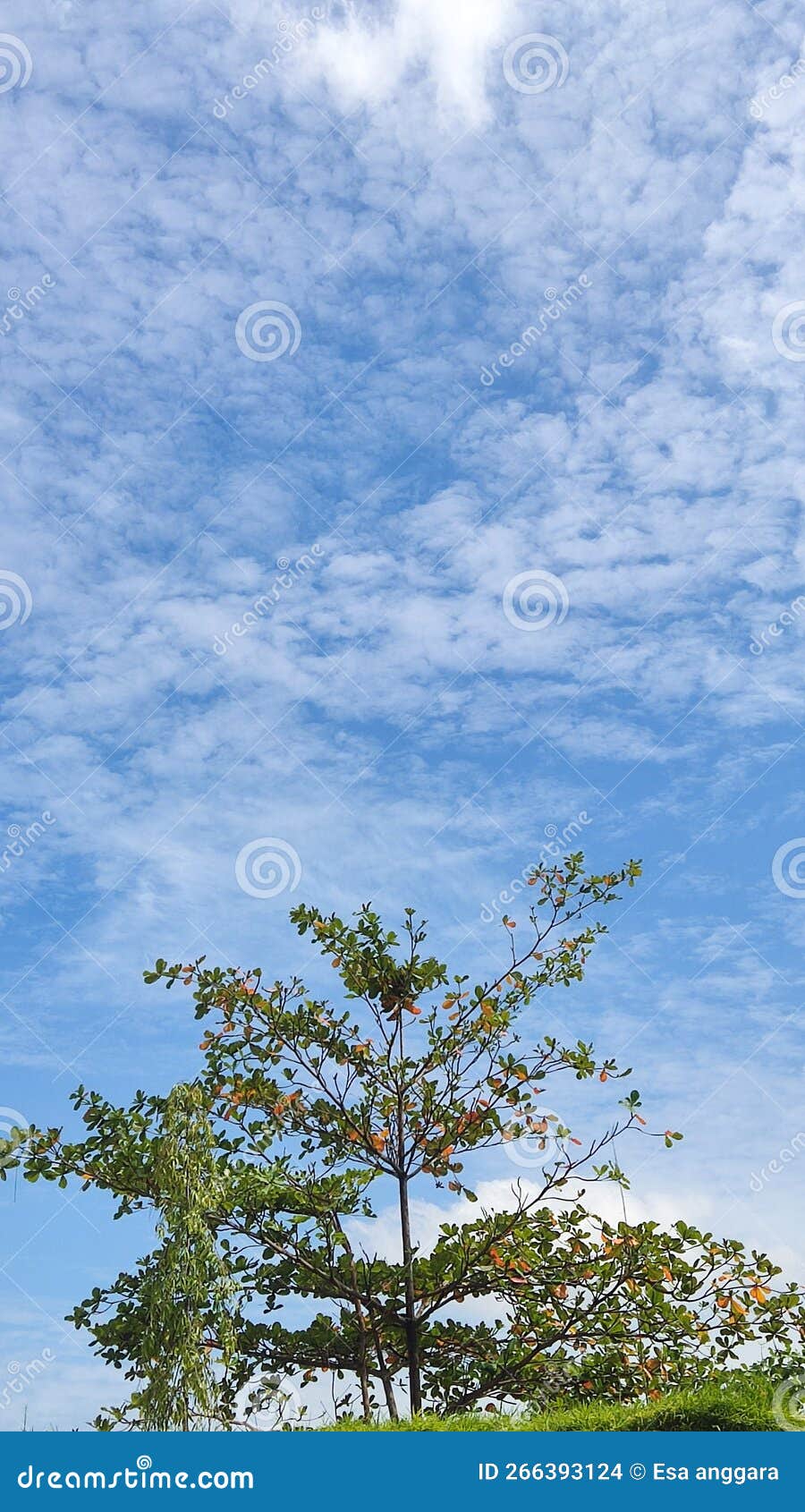 A Clear Sky Signifies Clear Weather Stock Photo - Image of nature ...