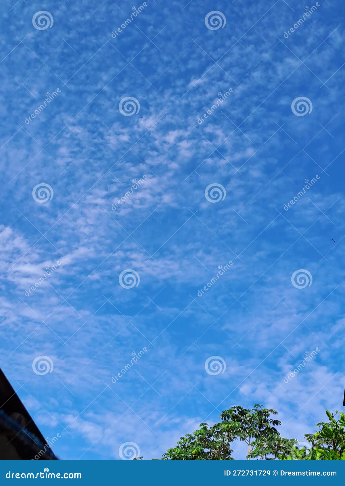Clear sky sunny day stock image. Image of sunnyday, sunny - 272731729