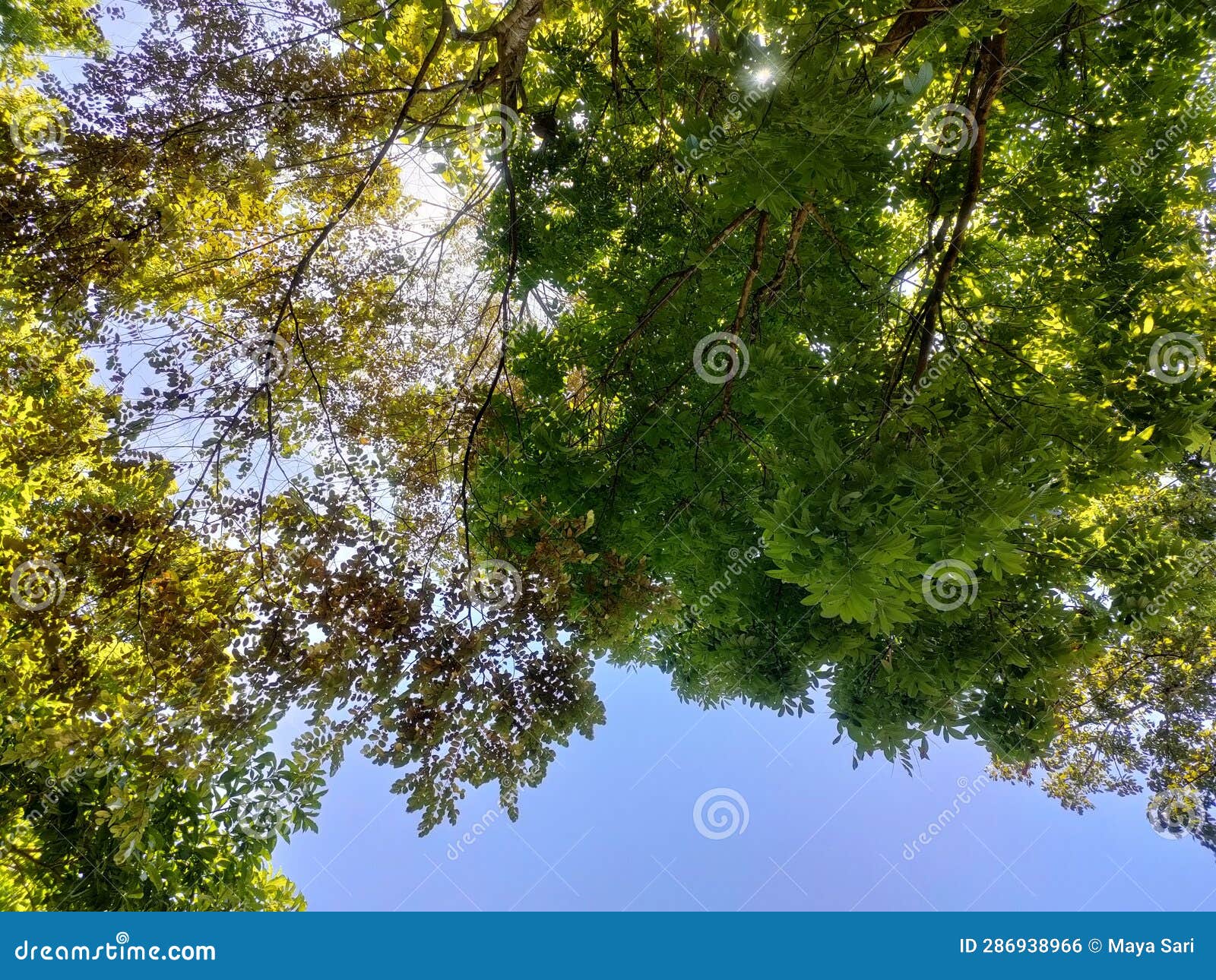 Clear sky today stock photo. Image of today, clear, view - 286938966