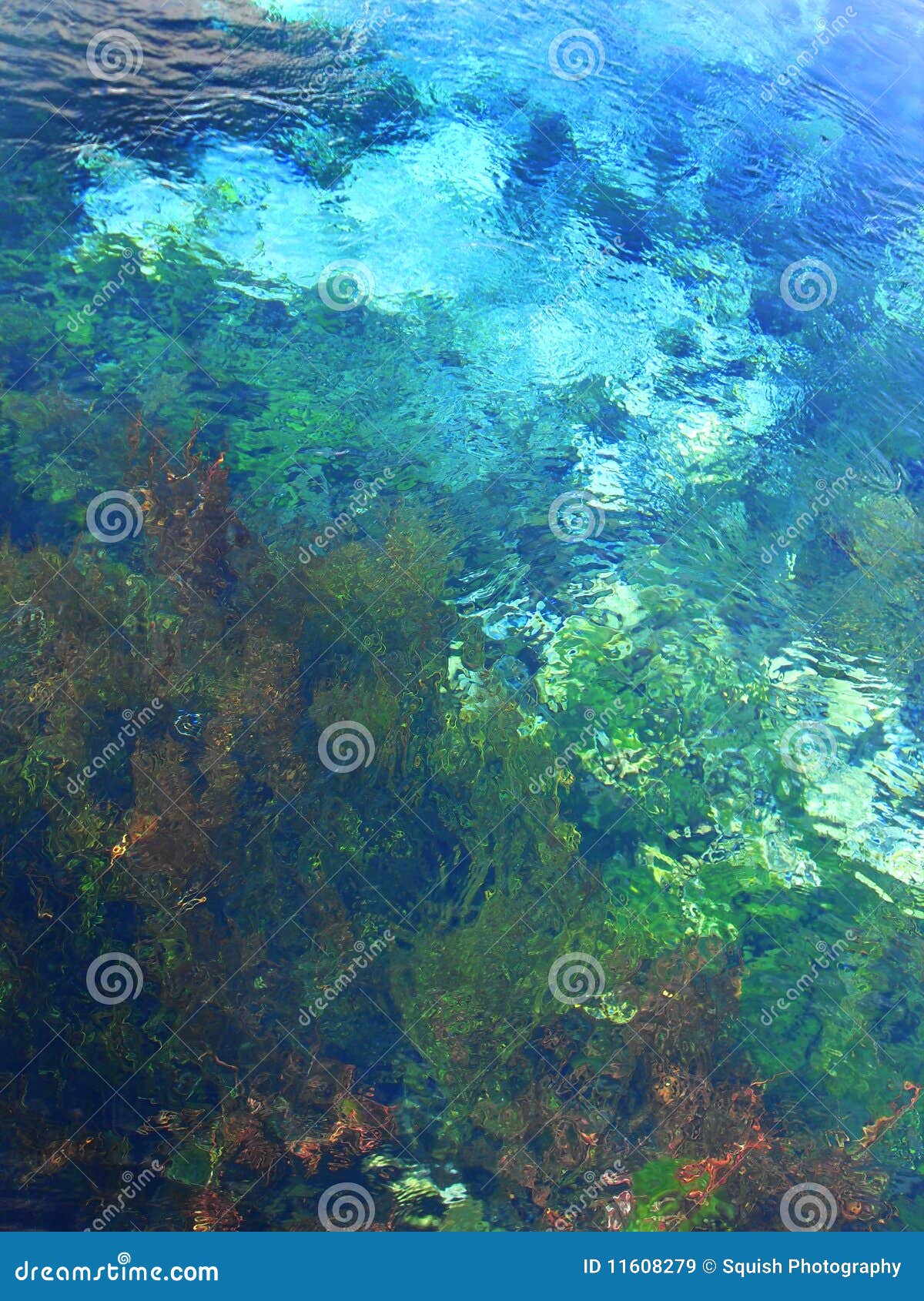 Clear Spring Water stock image. Image of refreshing, blue - 11608279