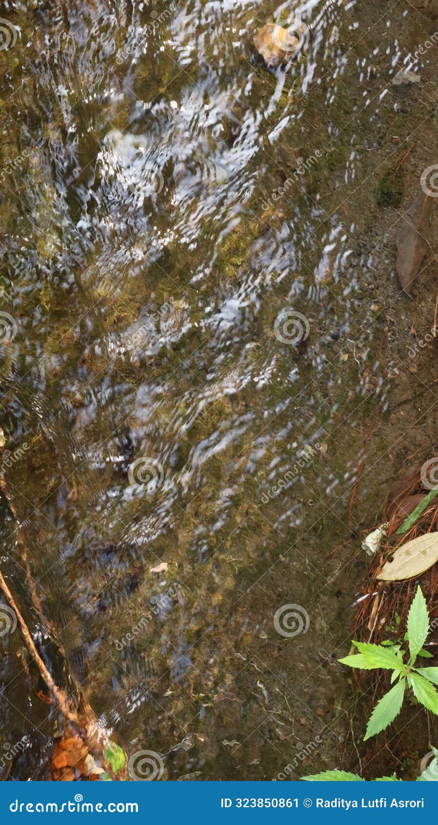 Clear Spring Water Flowing from the River with a Portrait Photo As the ...