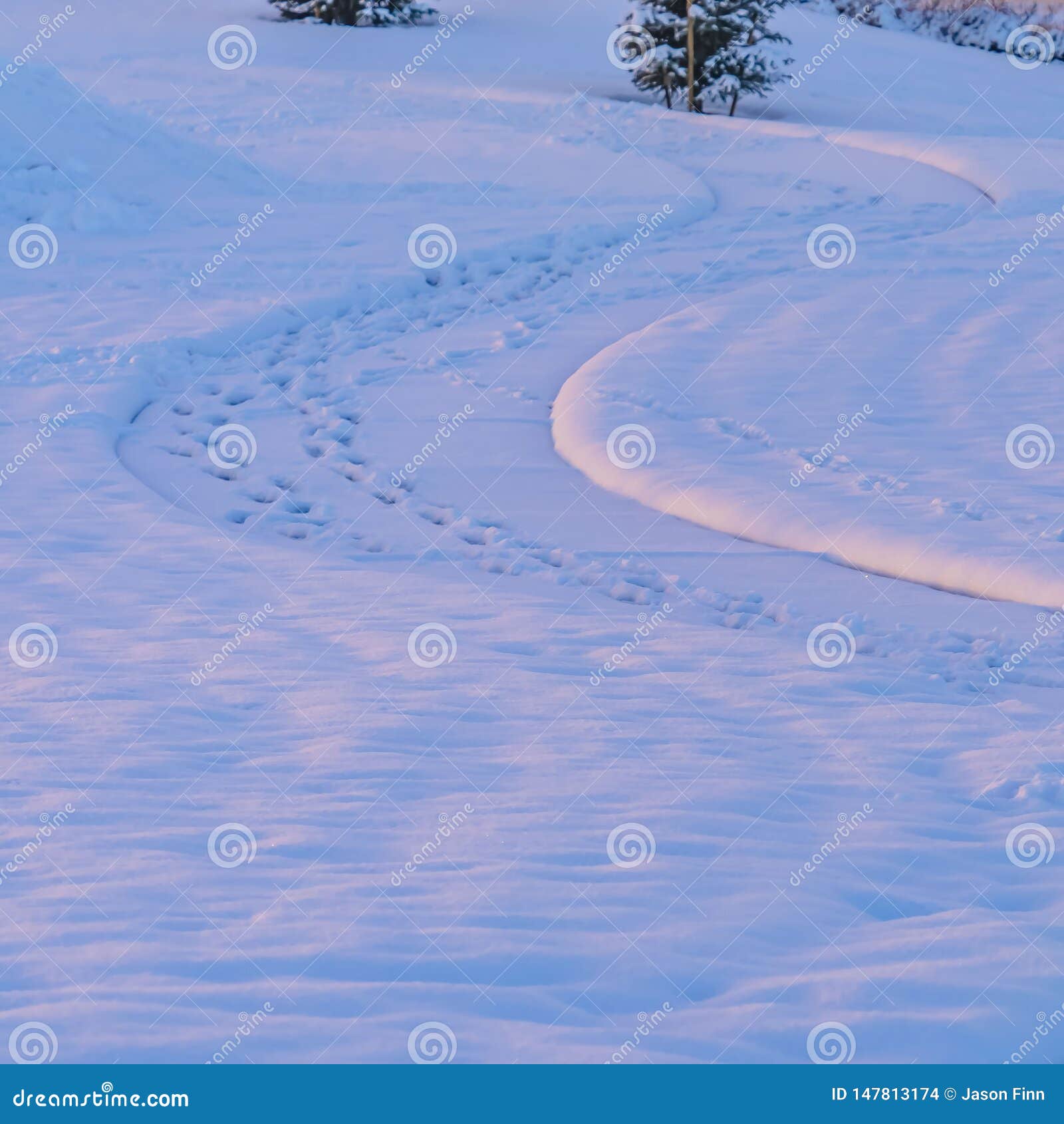Square Pathway And Stairs Leading To The Arched Entrance And Front Door ...