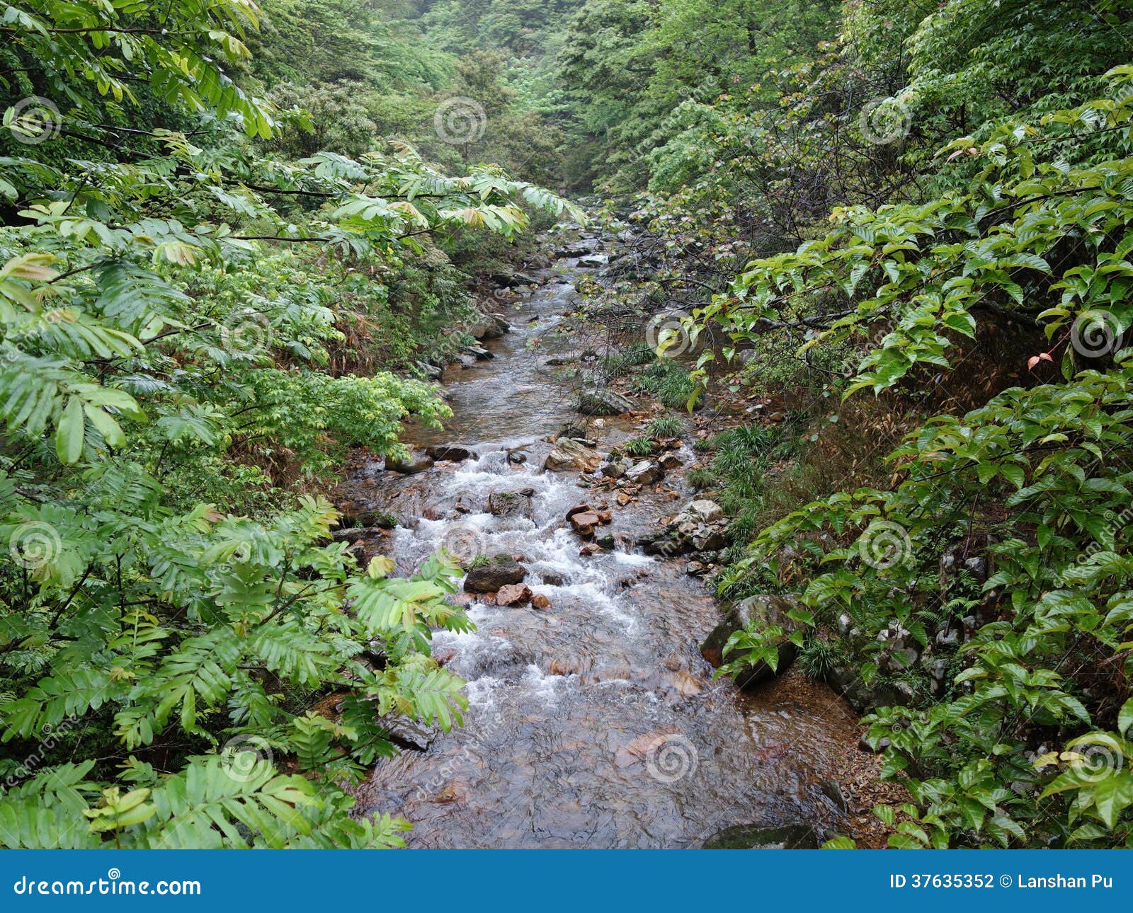 The clear stream stock photo. Image of qingqing, achievement - 37635352