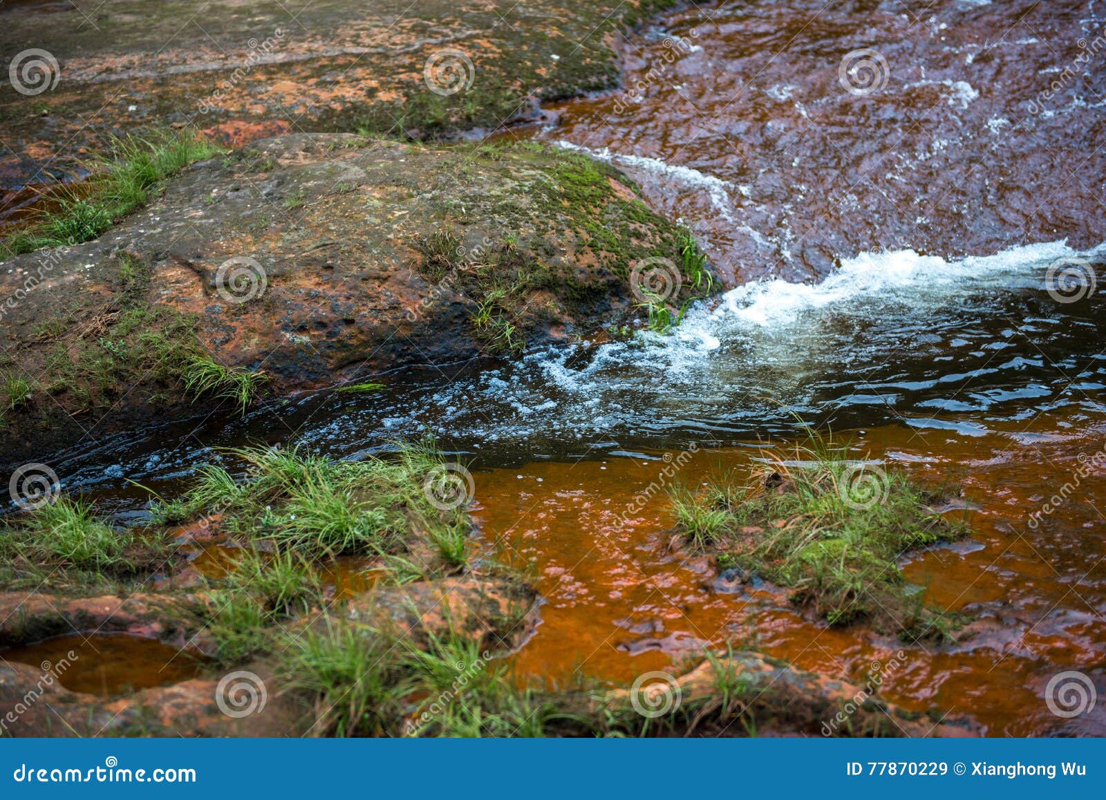 Clear stream flowing water stock image. Image of color - 77870229