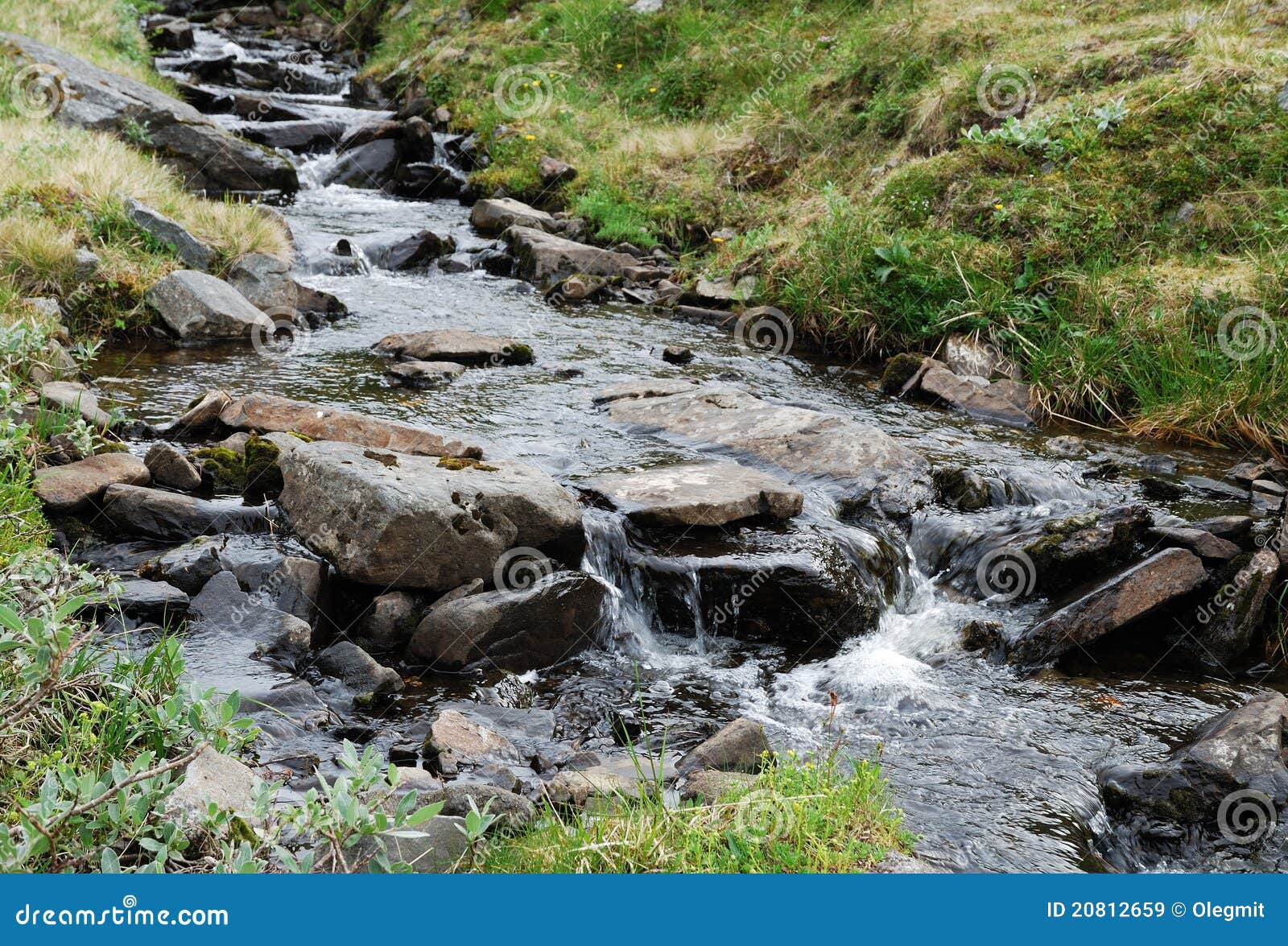 Clear Stream in Green Grass. Stock Image - Image of creek, transparent ...