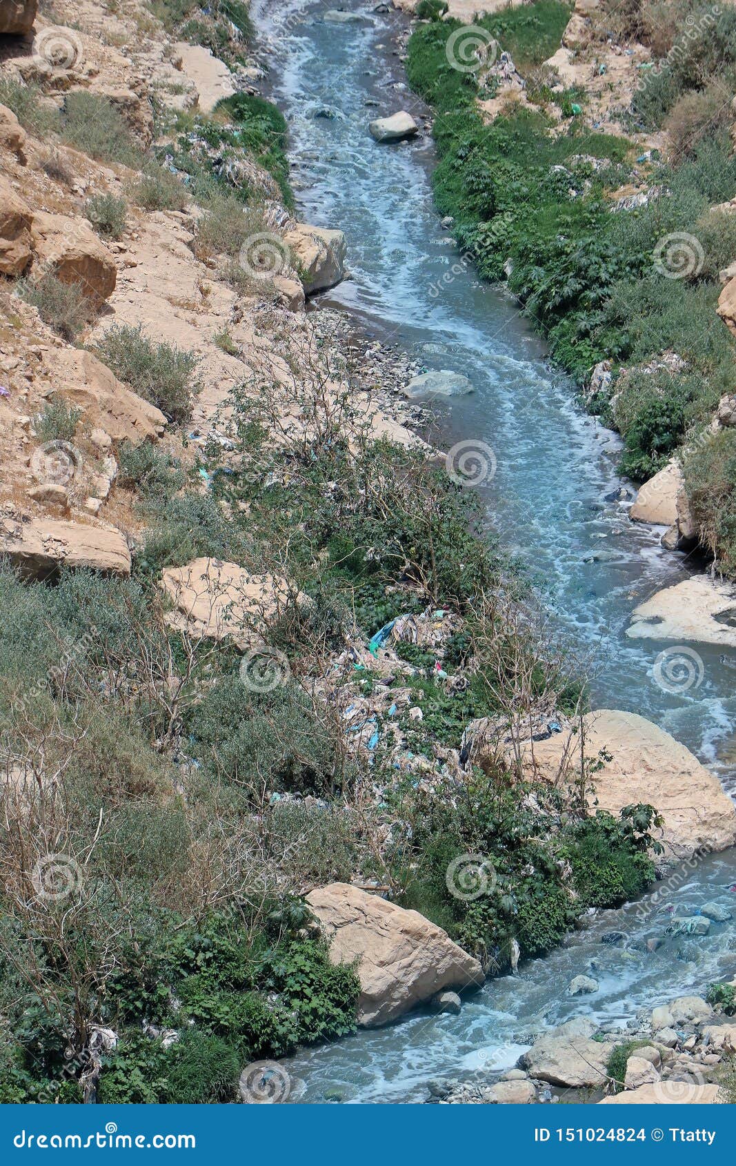 Clear stream on mountain stock photo. Image of plants - 151024824