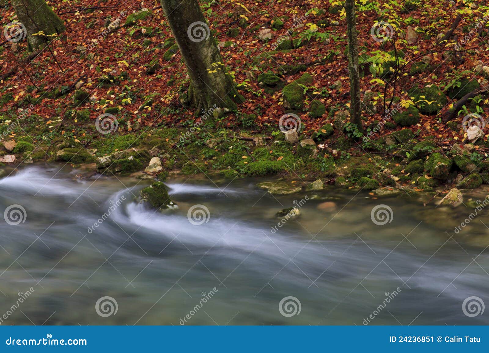 Clear Stream and November Foliage in the Mountains Stock Image - Image ...