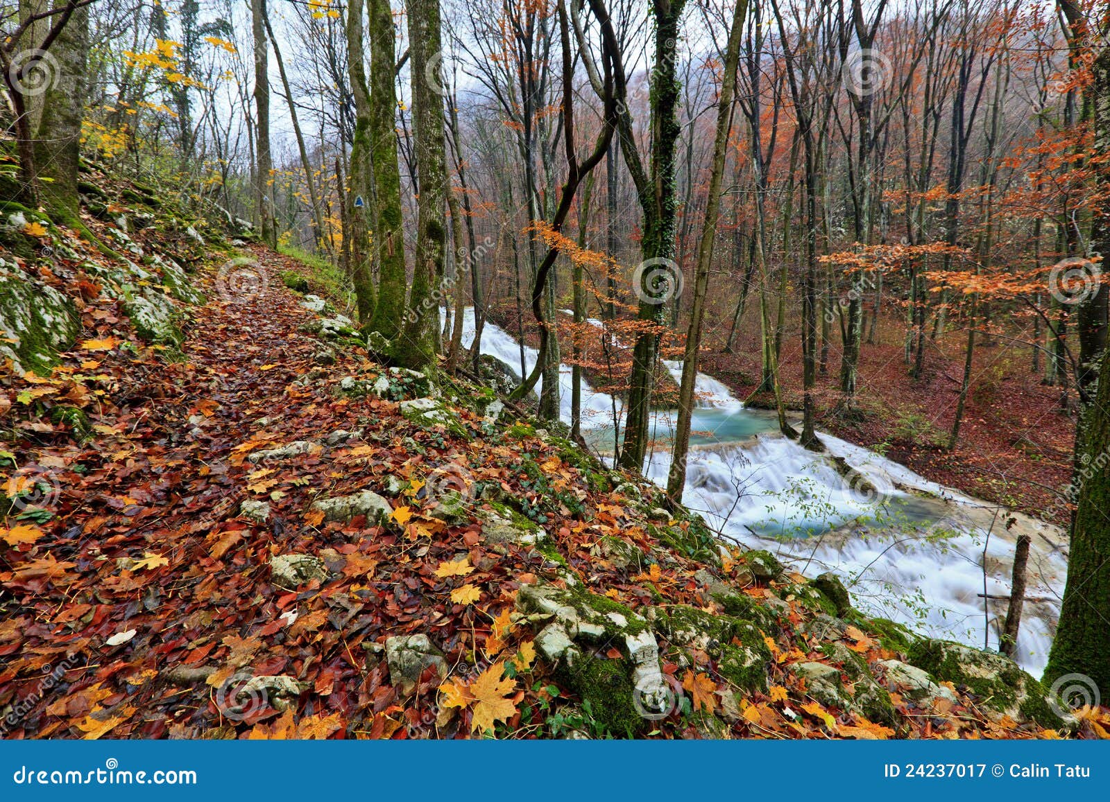 Clear Stream and November Foliage in the Mountains Stock Image - Image ...