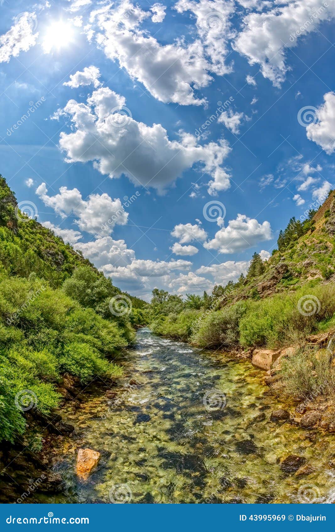 Clear stream in springtime stock image. Image of nature - 43995969