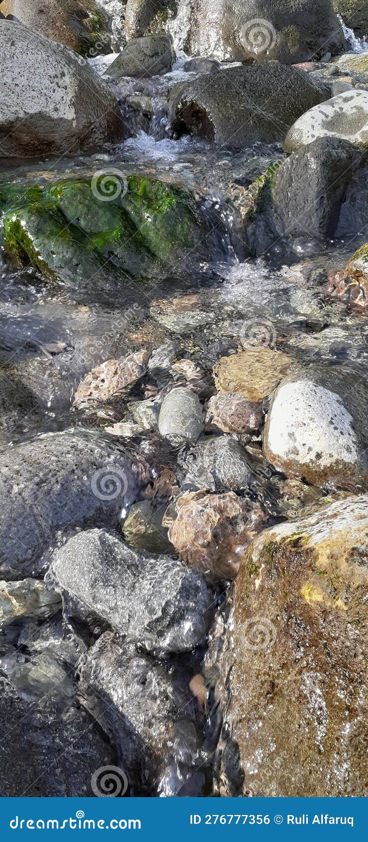 Clear Stream of Water on the Rocks Stock Photo - Image of stream, plant ...