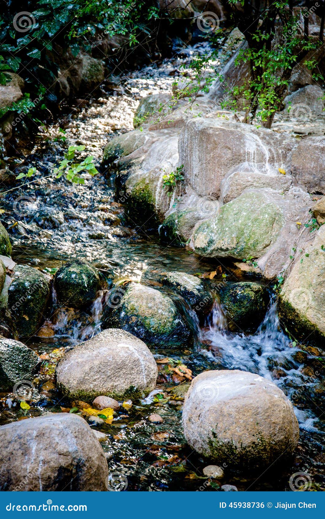 Clear streams stock photo. Image of rock, water, moss - 45938736