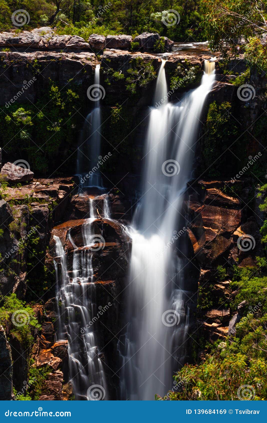 Clear Streams of a Waterfall in Australian Forest. Stock Image - Image ...