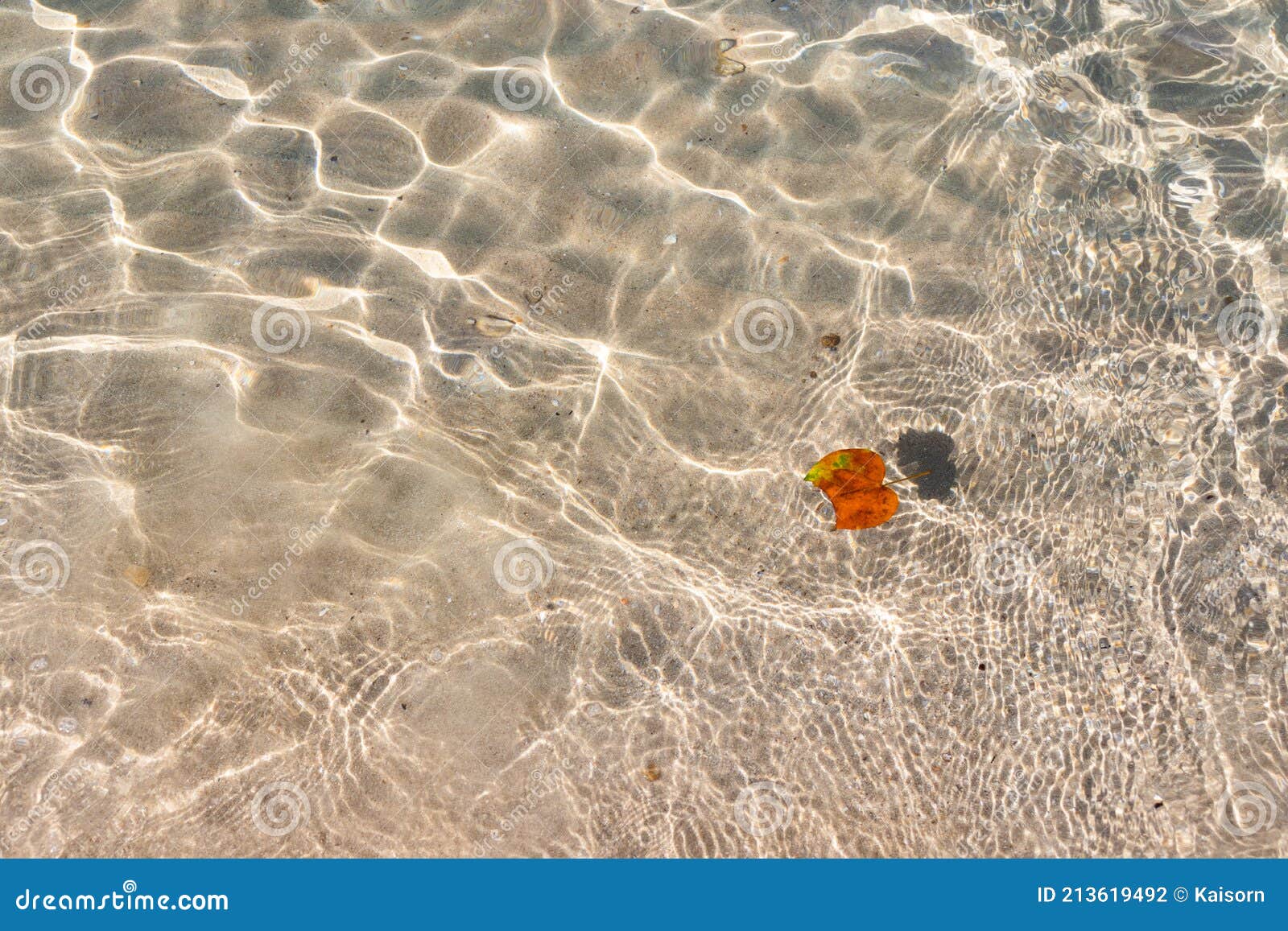 Clear Transparent Tropical Summer Beach Water Background Stock Photo ...