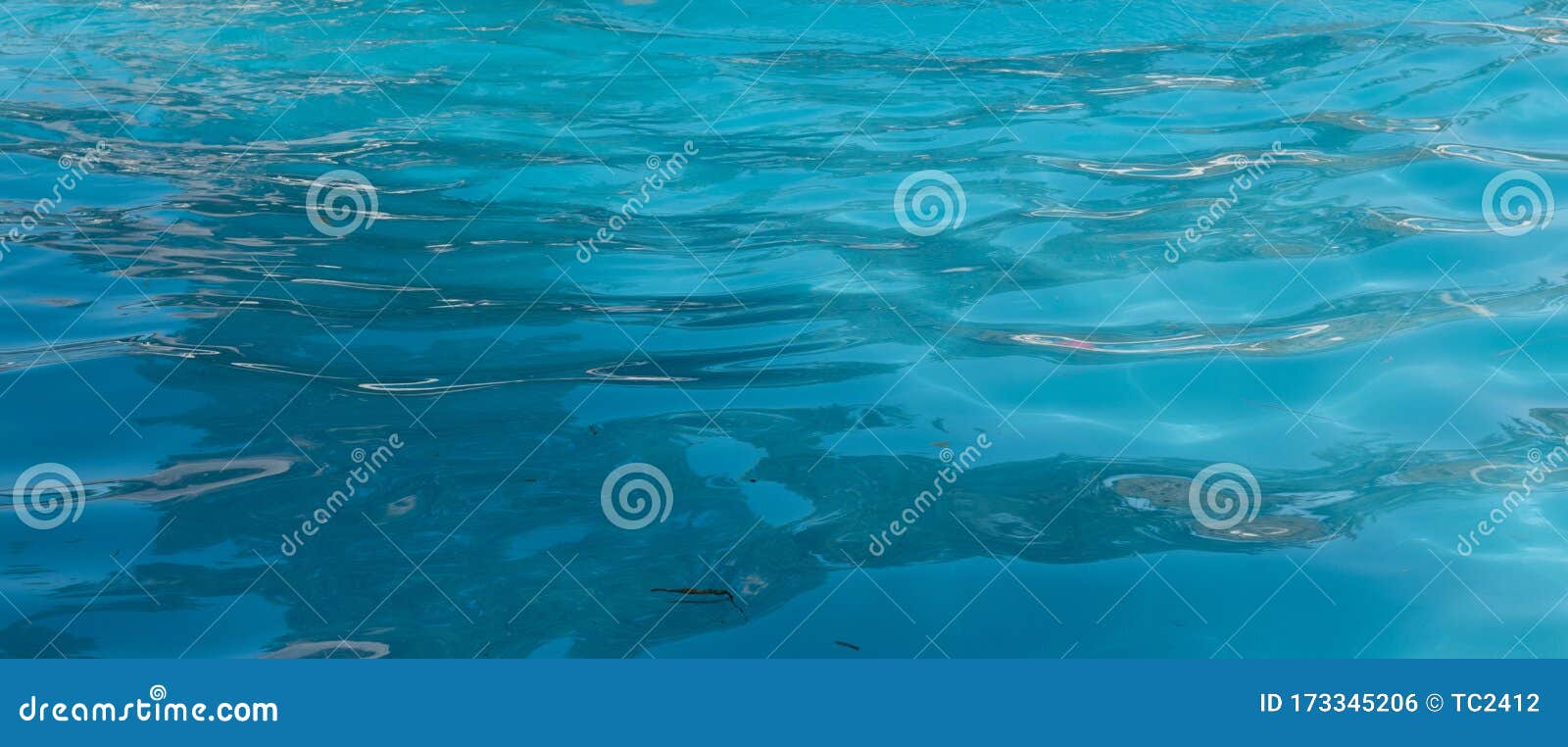 Water stock photo. Image of background, water, swim - 173345206