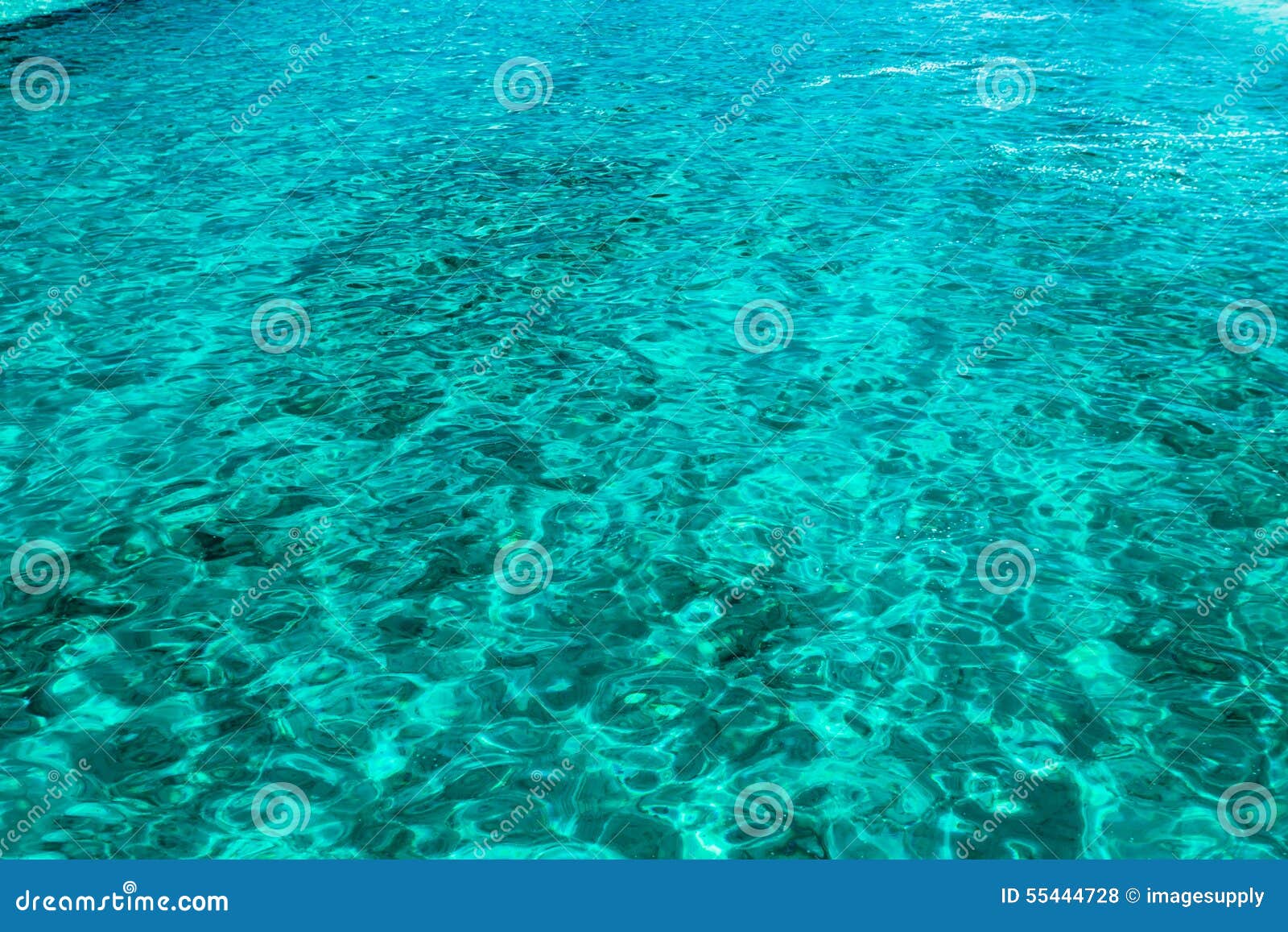 Clear water in Bahamas stock photo. Image of beautiful - 55444728