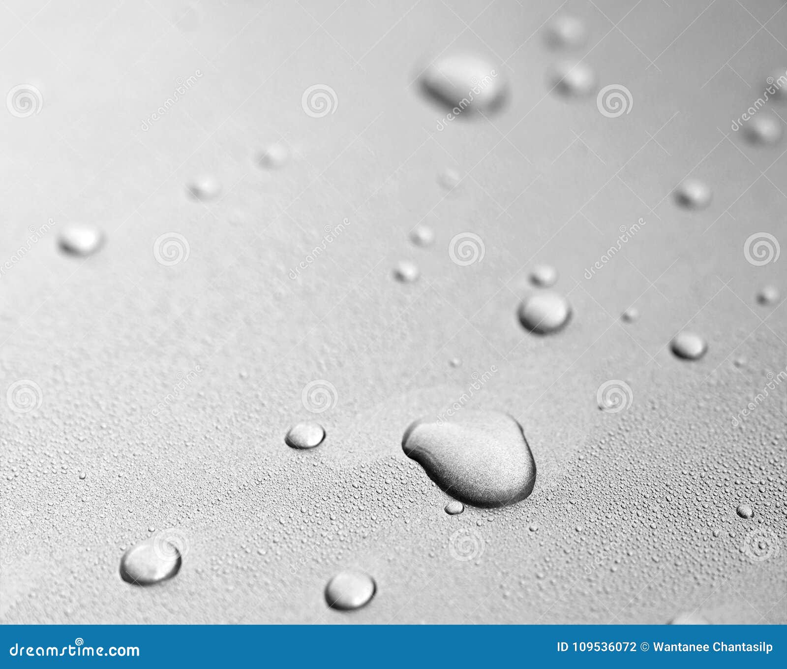 Clear Water Drops on Light Grey Background. Stock Photo - Image of ...