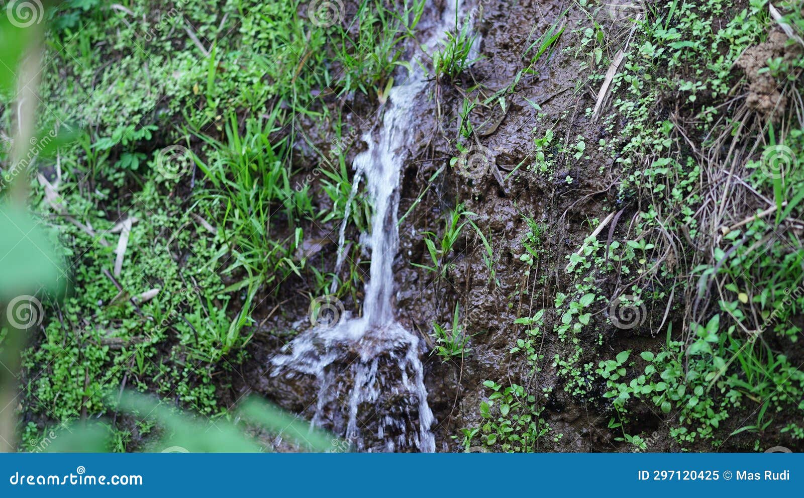 Clear Water on the Edge of the Rice Fields Like a Waterfall Stock Image ...
