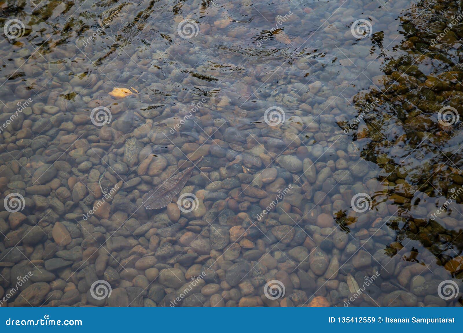 River flow over stone stock image. Image of relaxation - 135412559