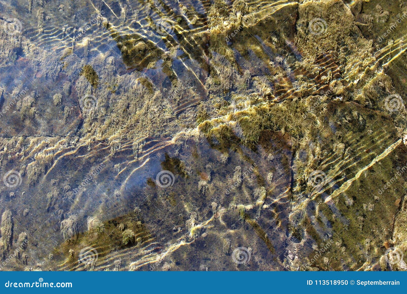 Water Cascading on a Sloped Wall Stock Photo - Image of natural, moss ... Water Cascading on a Sloped Wall Stock Photo - Image of natural, moss ...