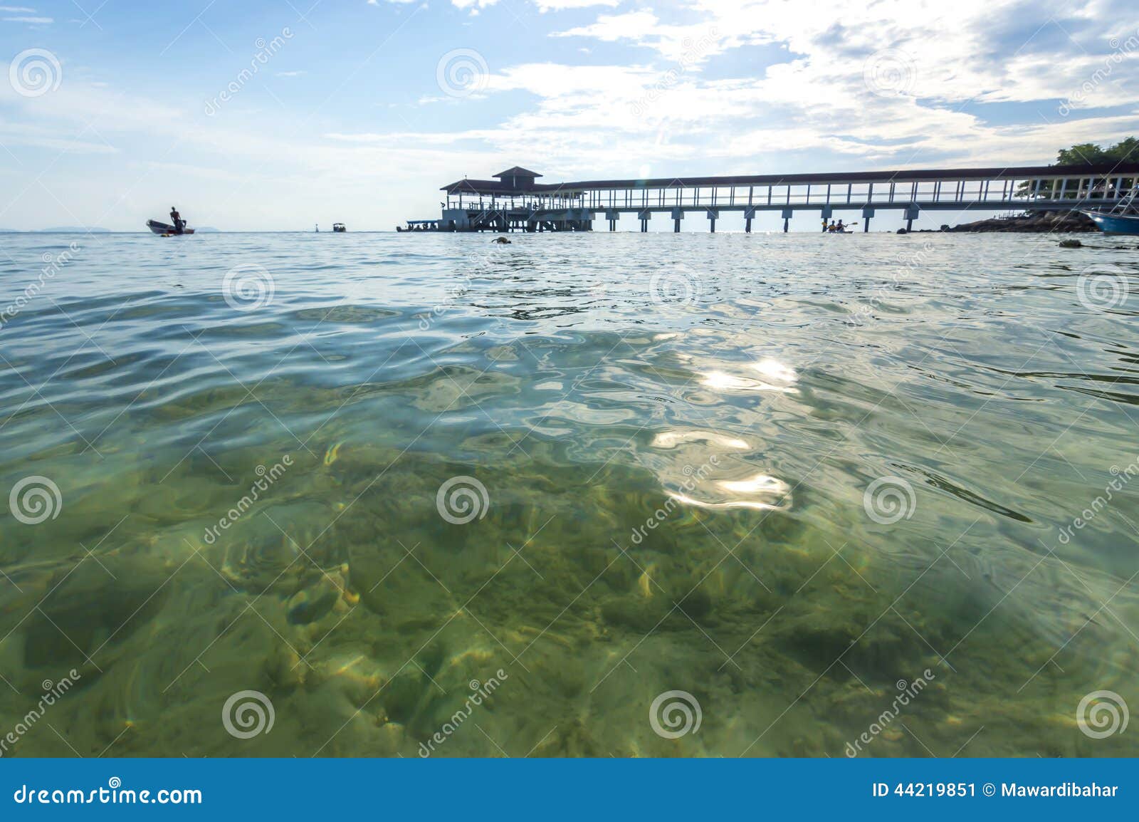 Clear water stock image. Image of sand, paradise, coconut - 44219851