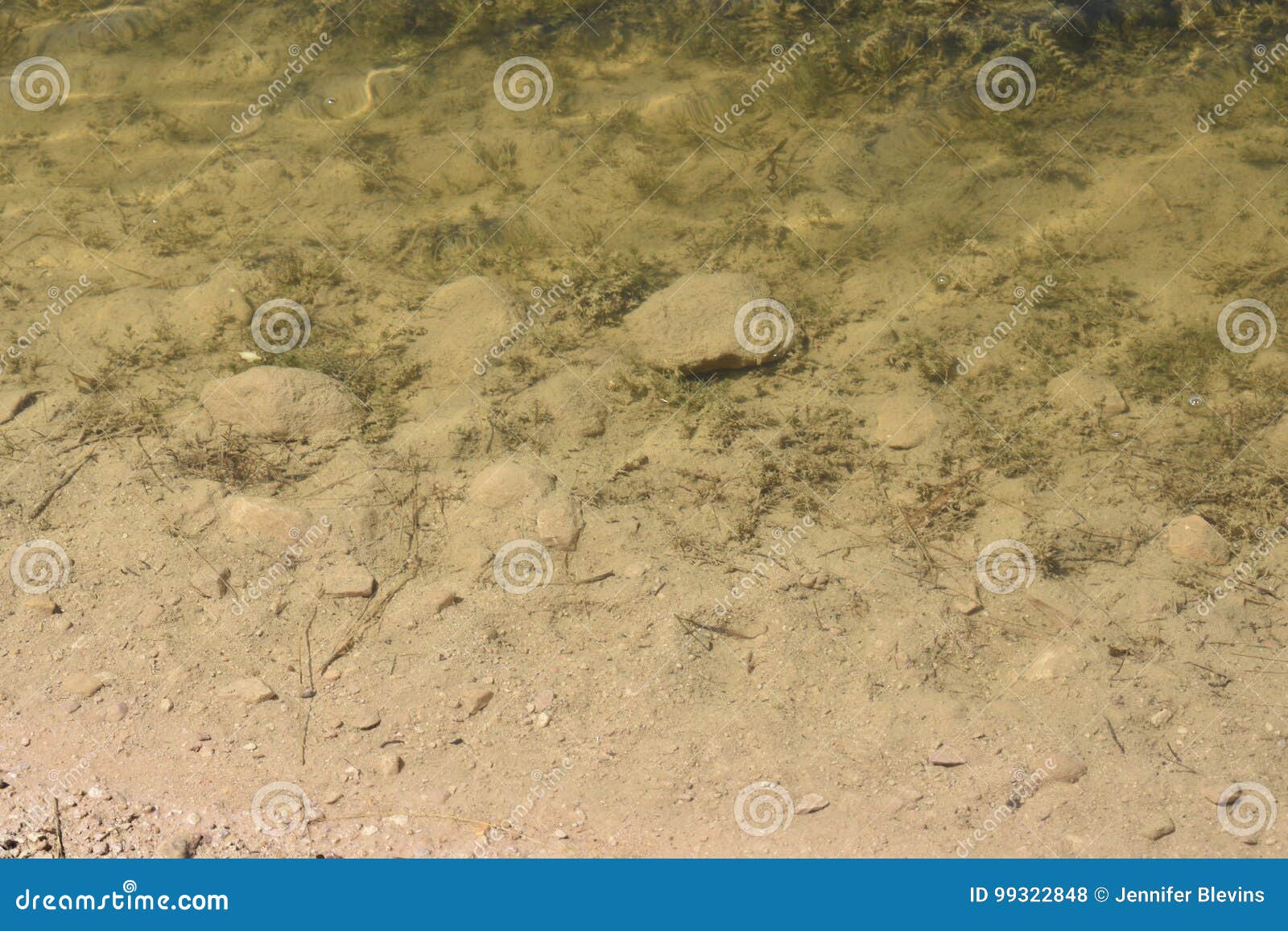 Clear water mud stock photo. Image of clear, muddy, texture - 99322848
