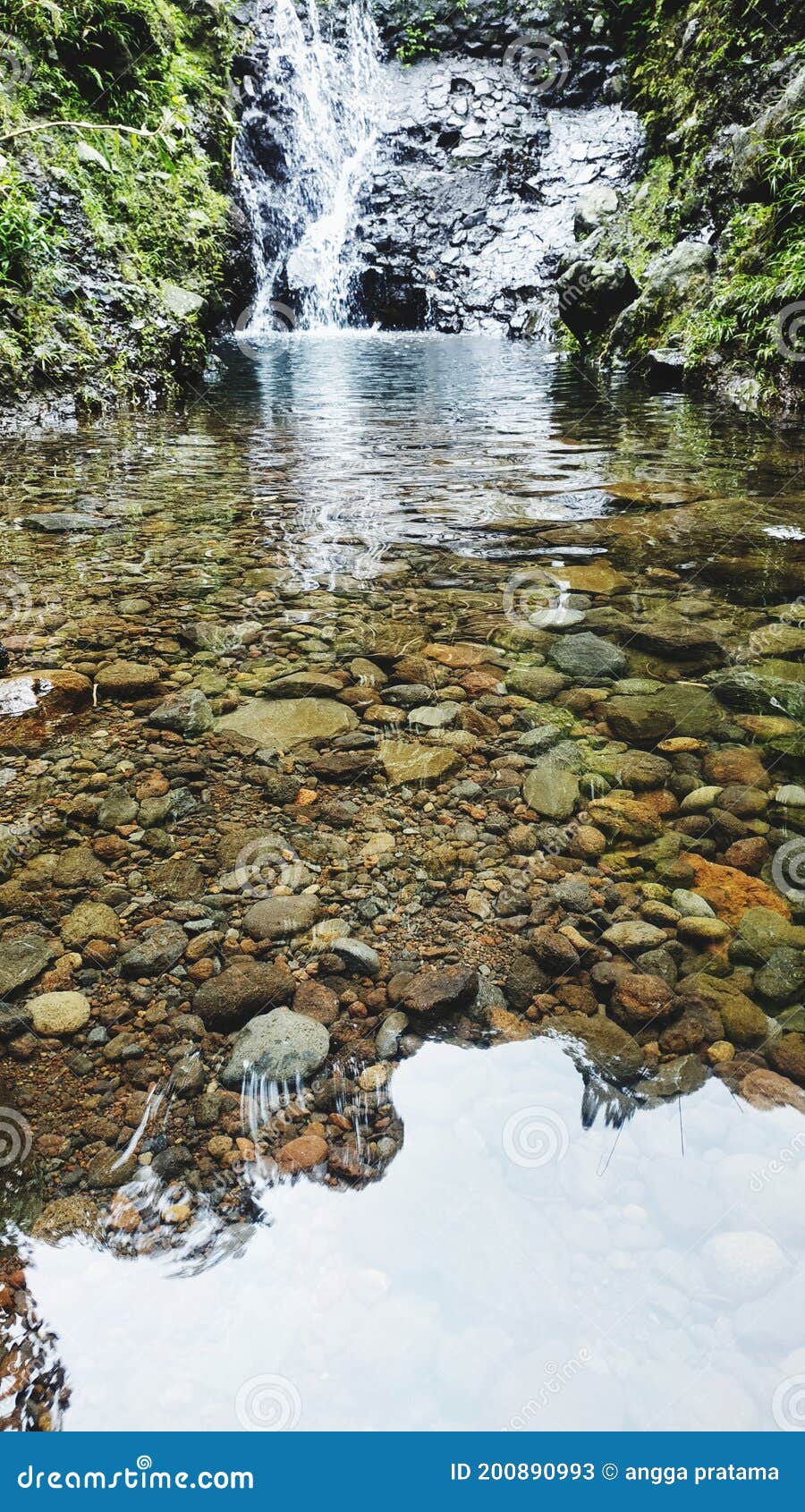 Clear Water River in the Forest Stock Image - Image of clear, river ...