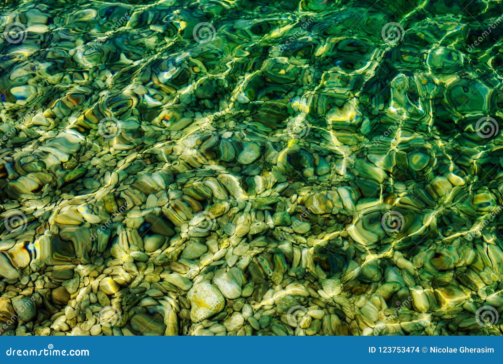 Clear water on rocks stock photo. Image of nature, life - 123753474