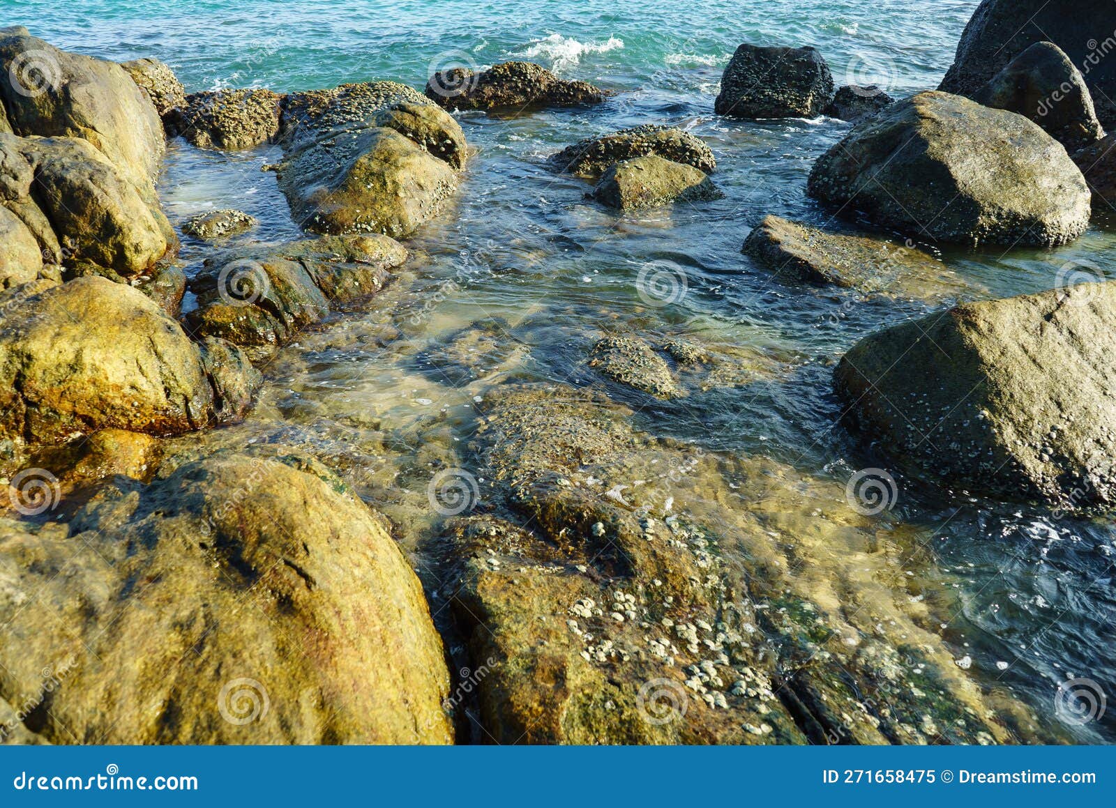 Clear Water on a Rocky Ocean Shore Close Up Stock Image - Image of ...