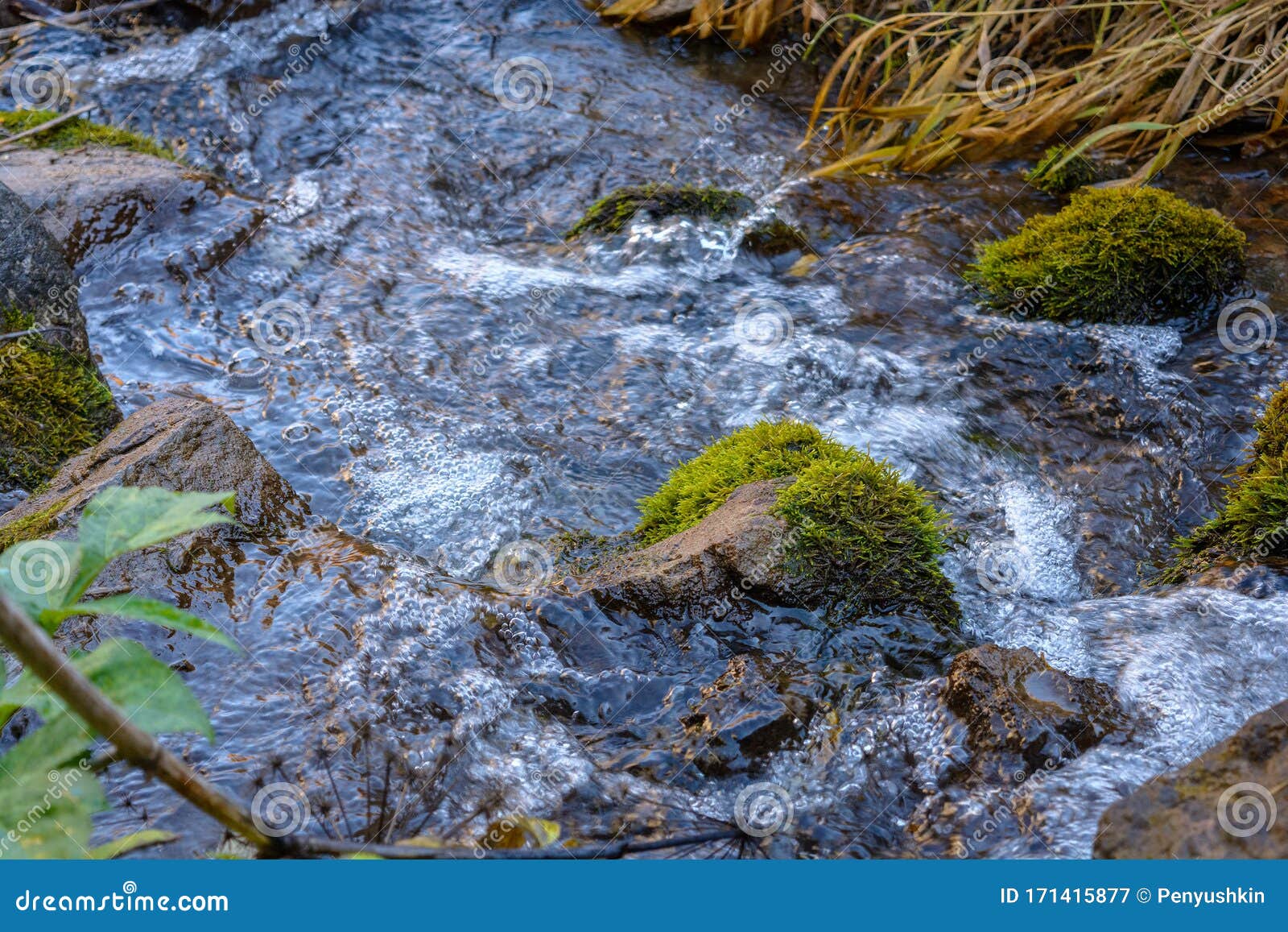 Clear Water of Small Spring Flows Over the Stones with Moss. Stock ...