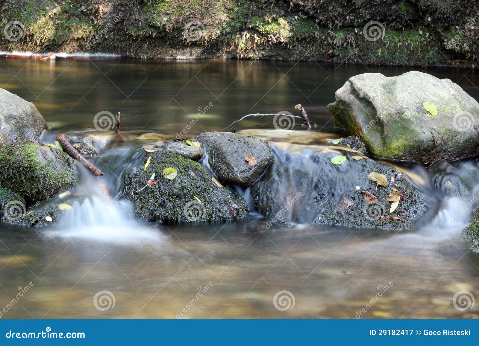 Clear water spring stock image. Image of park, rock, foliage - 29182417