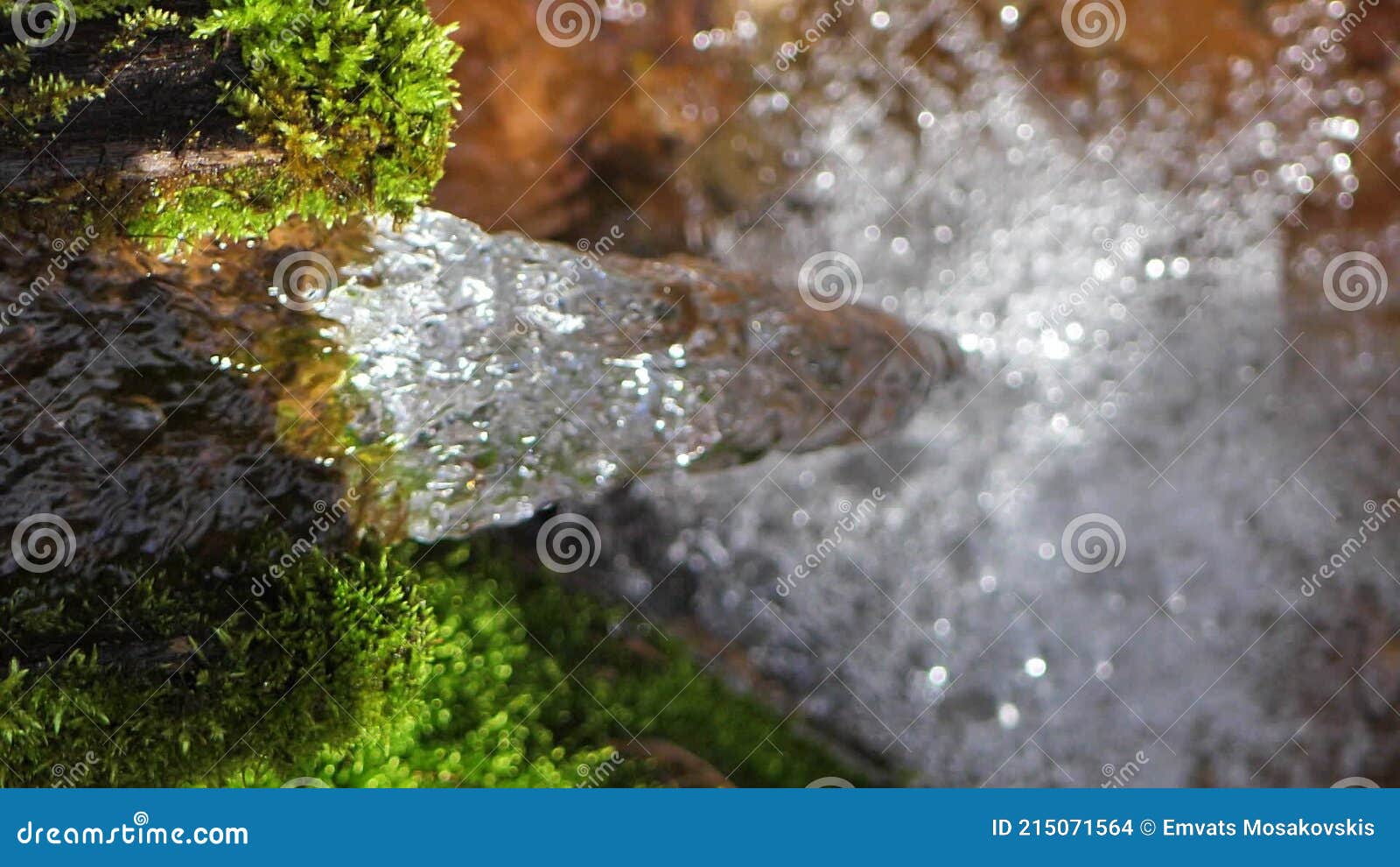 Clear Water of the Spring Flows through the Trough. Forest Water Source ...
