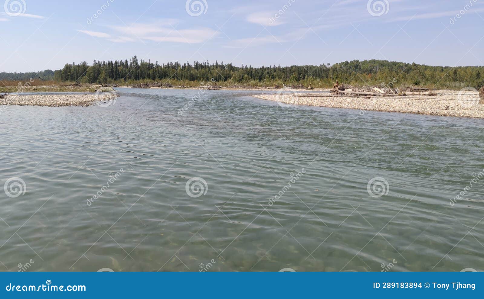 Clear Water Stream or River in Canada Stock Photo - Image of water ...