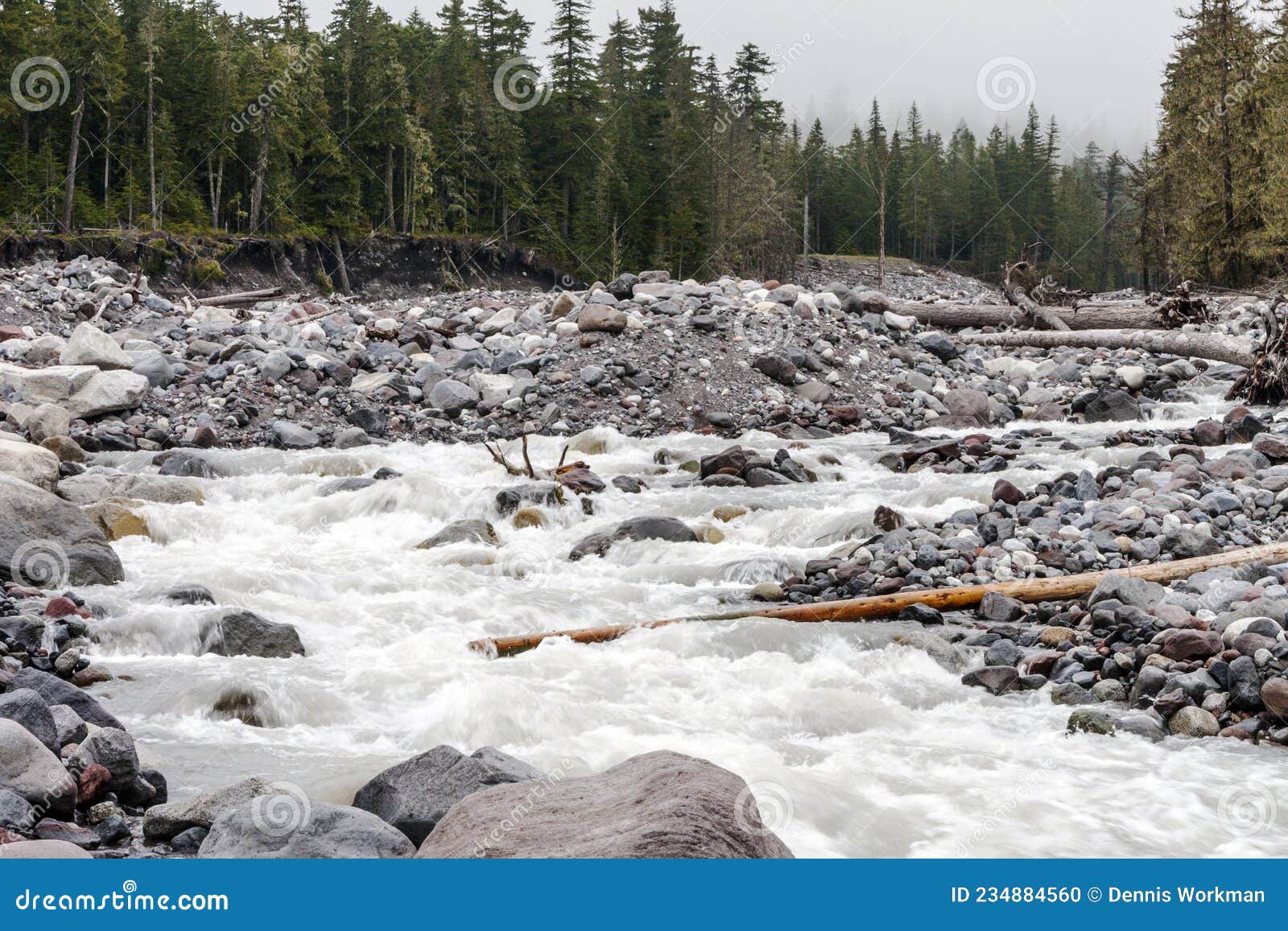 Clear water stream stock photo. Image of background - 234884560