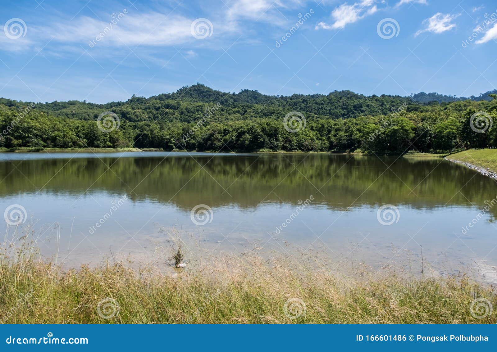 Clear Water Surface of the Small Reservoir Stock Photo - Image of ...