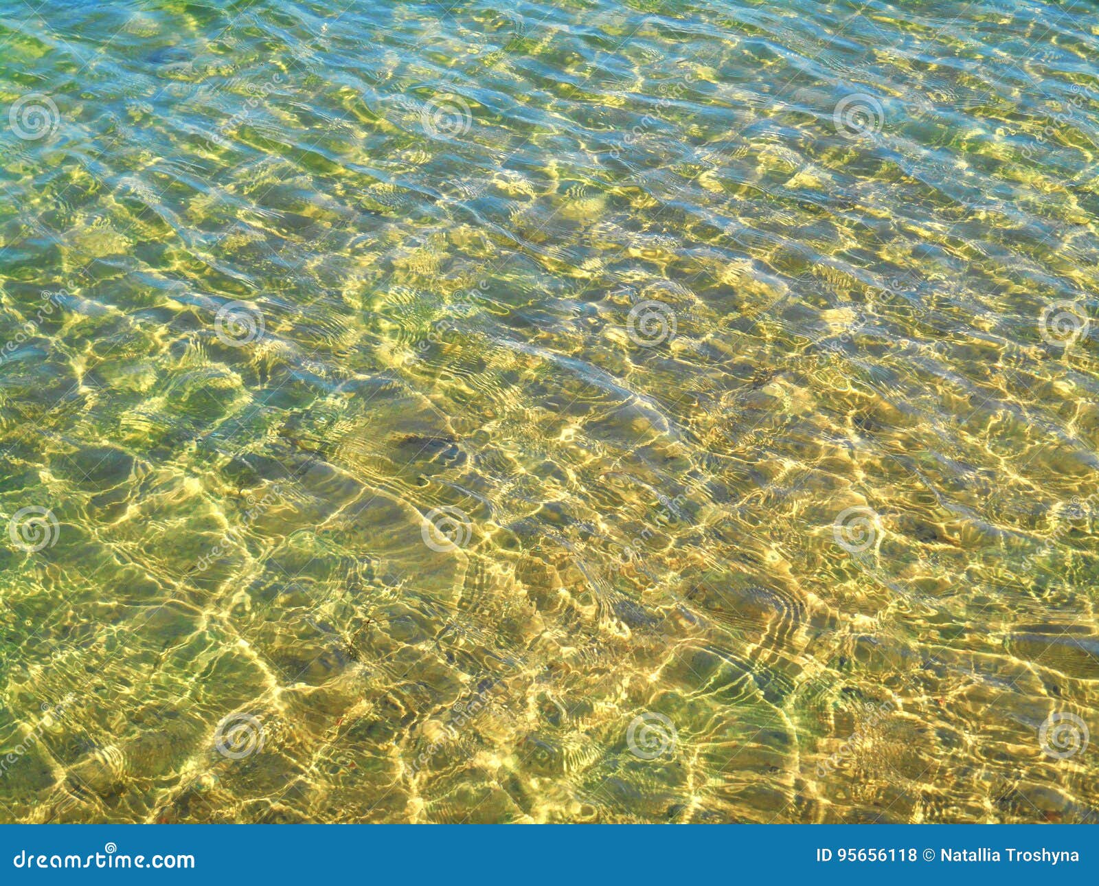Clear water texture stock photo. Image of water, vegetation - 95656118