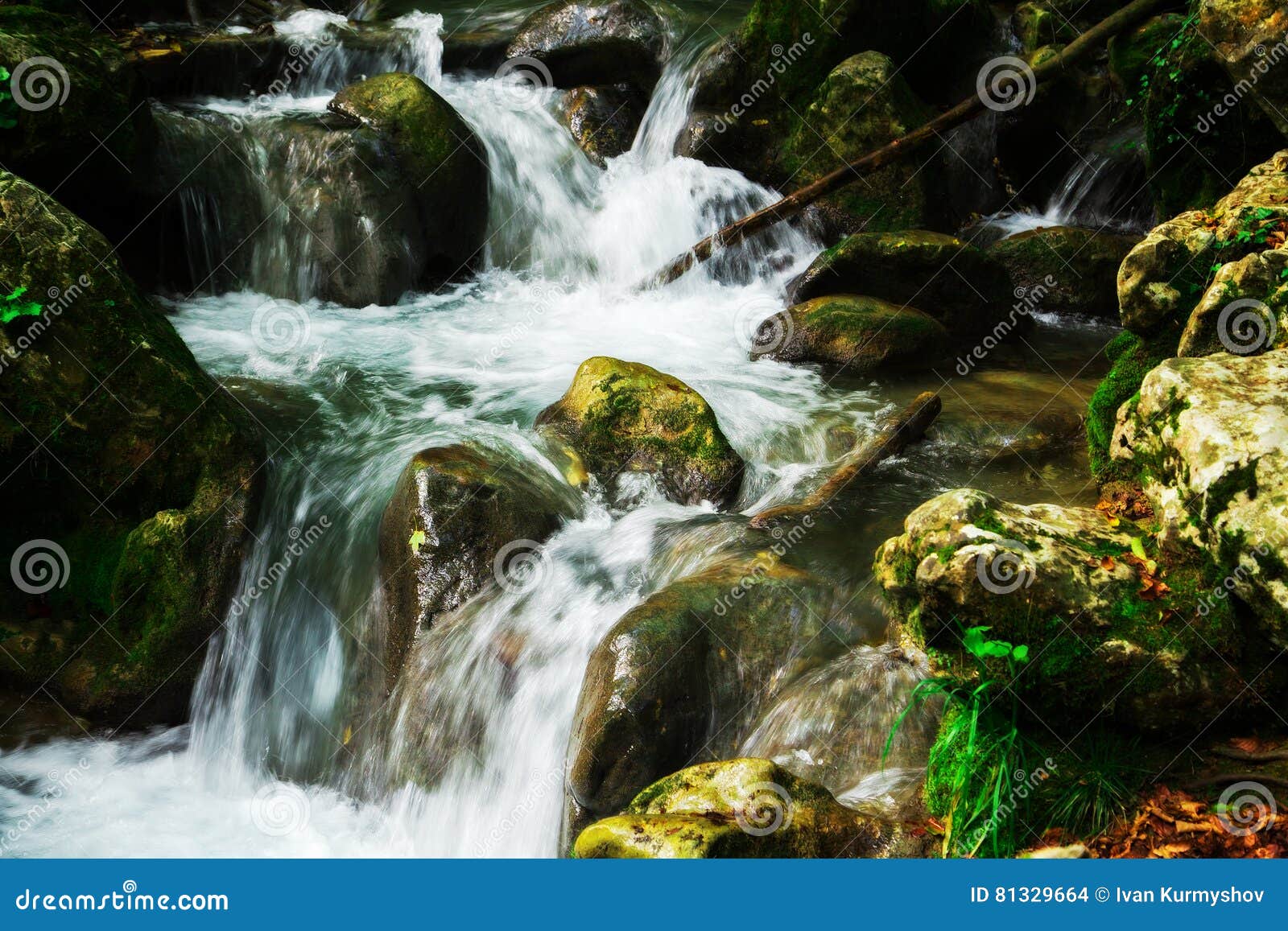 Clear Waterfall in Green Forest, Beautiful Nature Landscape Stock Photo ...
