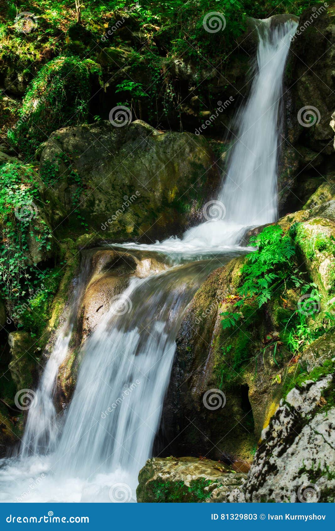 Clear Waterfall in Green Forest, Beautiful Nature Landscape Stock Image ...