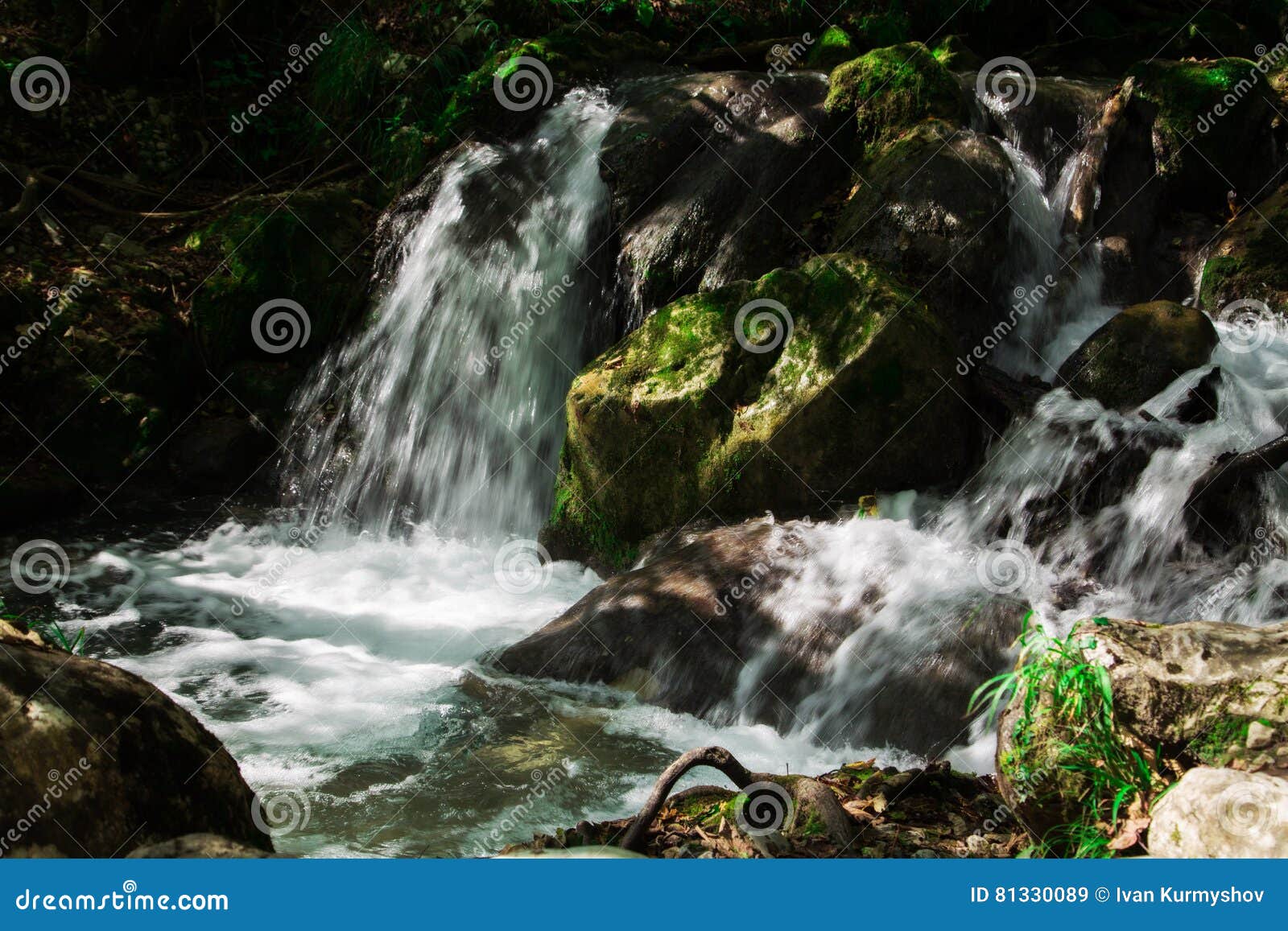 Clear Waterfall in Green Forest, Beautiful Nature Landscape Stock Image ...