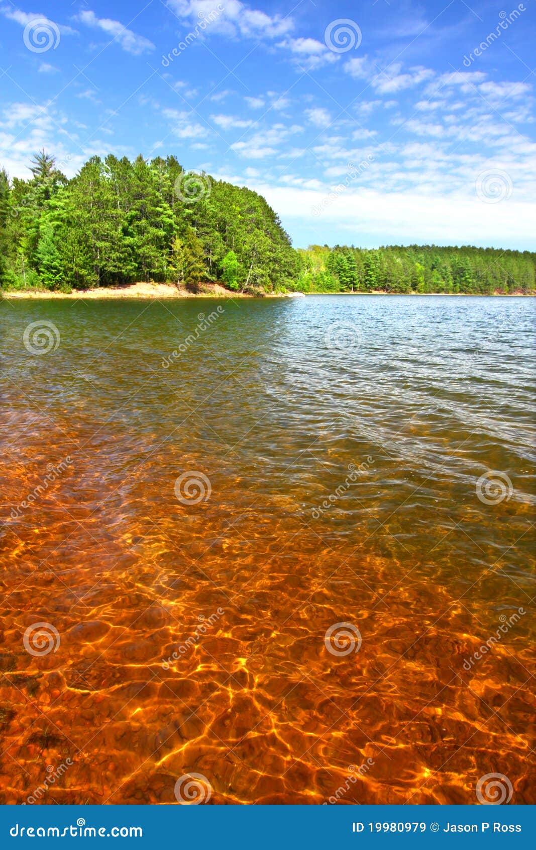 Clear Waters of Northwoods Wisconsin Stock Image - Image of habitat ...