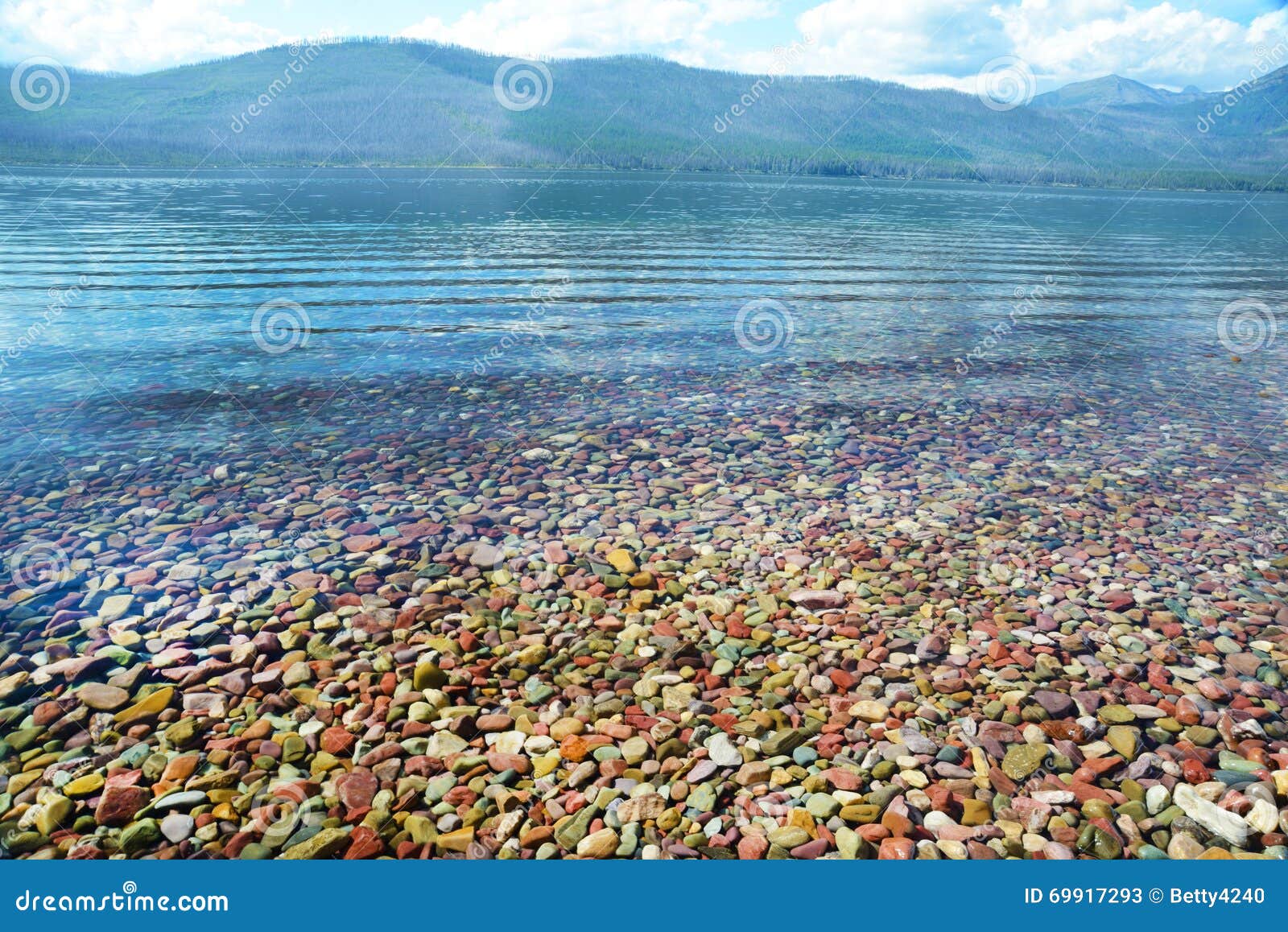 Clear Waters of Yellowstone Lake Show Pebbles. Stock Image - Image of ...