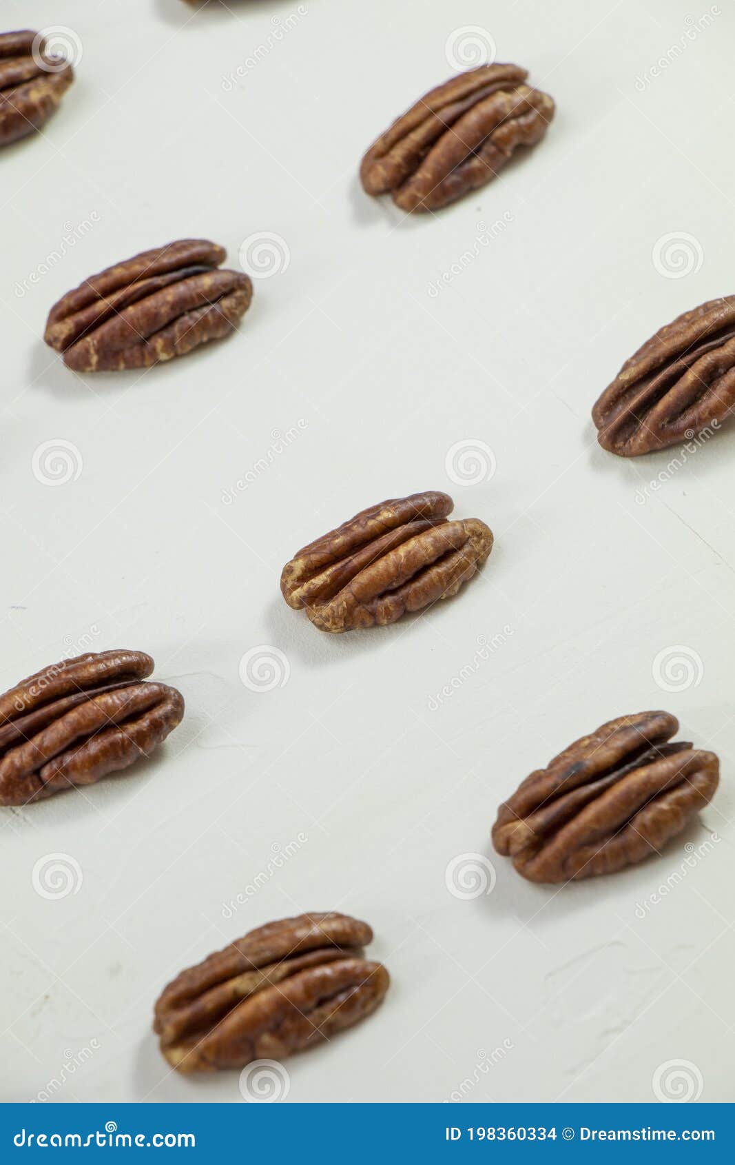 Cleared pecan stock photo. Image of hazelnut, closeup - 198360334