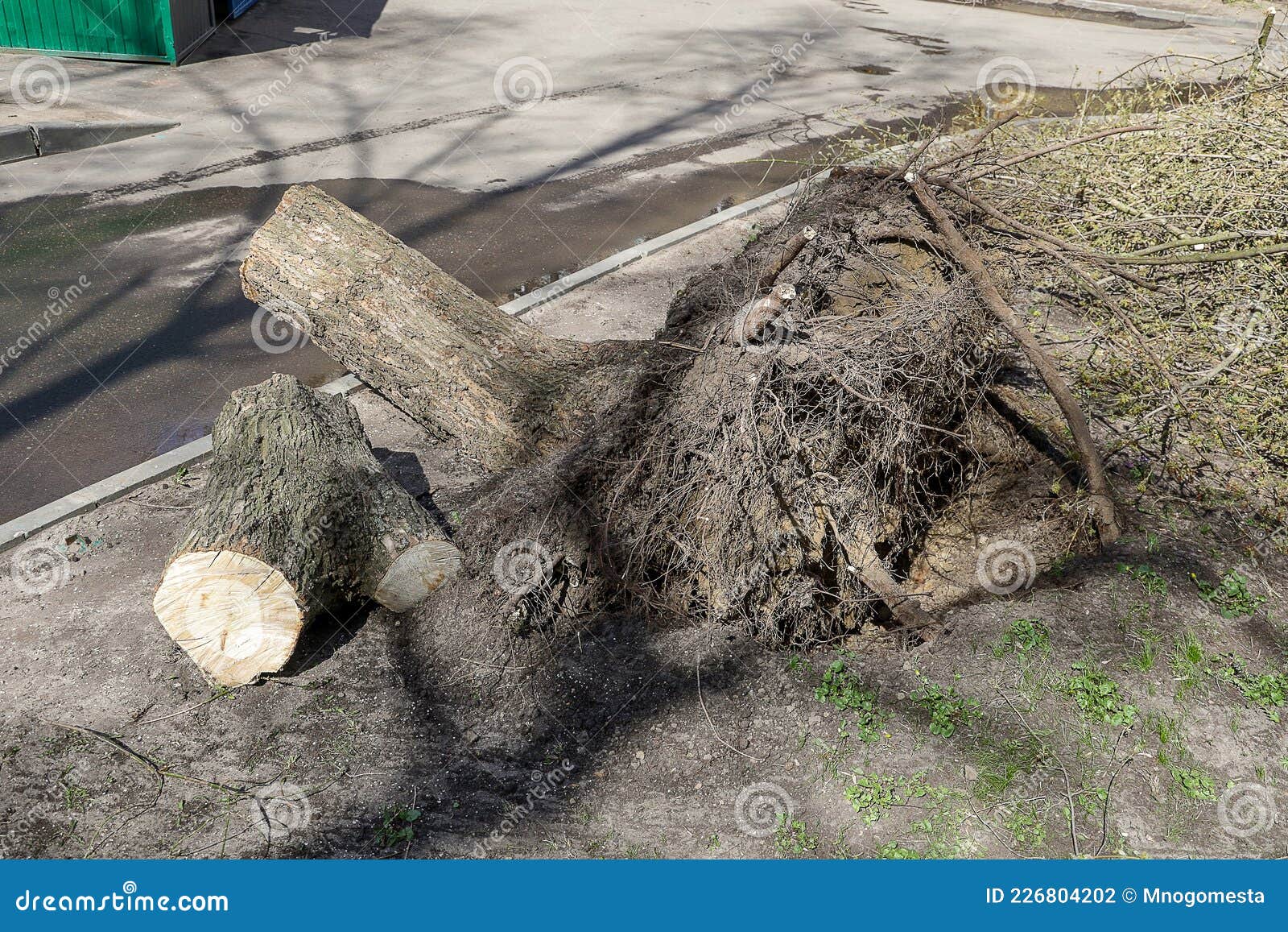 Clearing a City Road from a Tree that Fell during a Storm. the ...