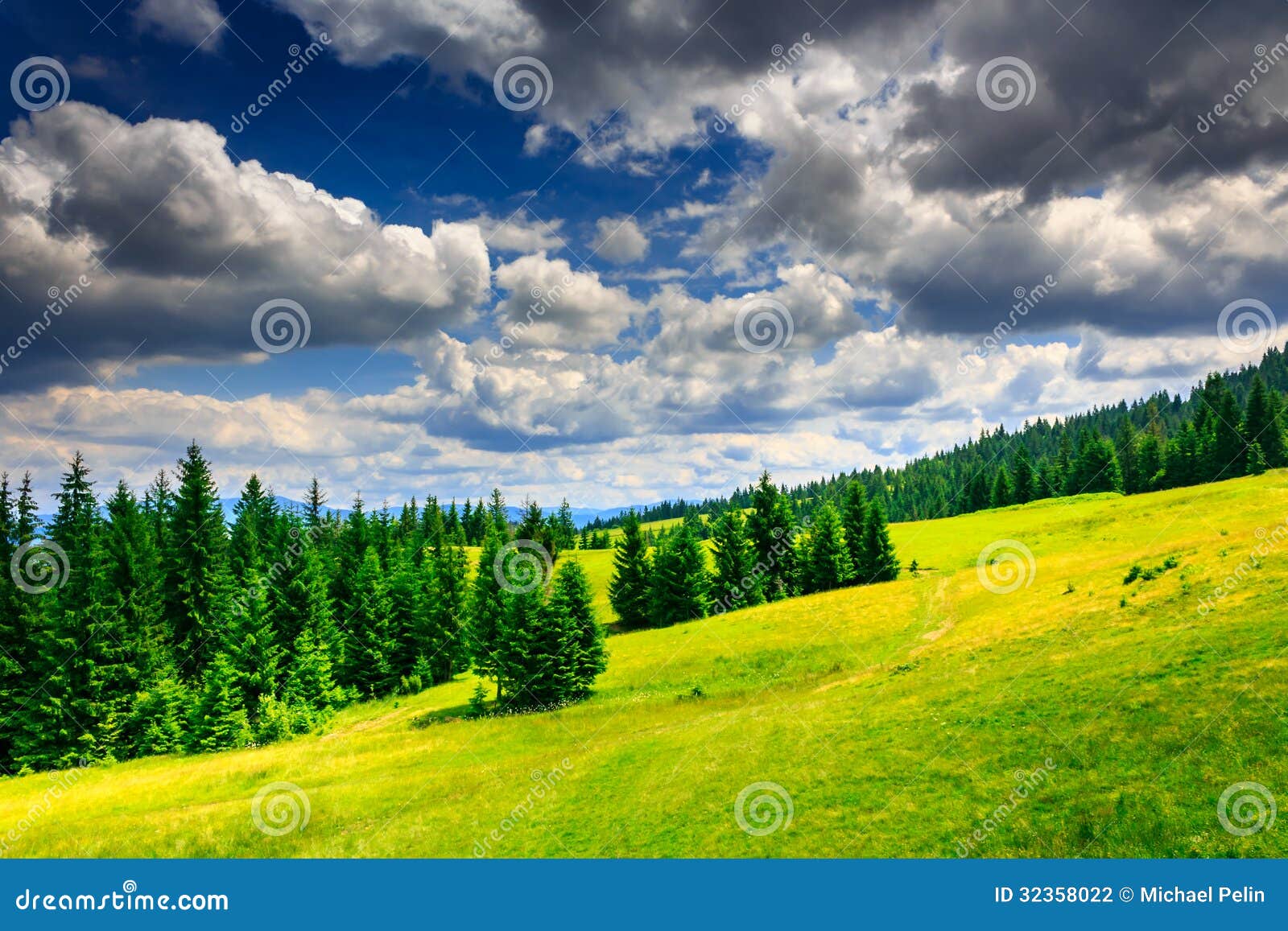 Clearing with a Footpath in a Forest on Mountain Slopes after a Stock ...