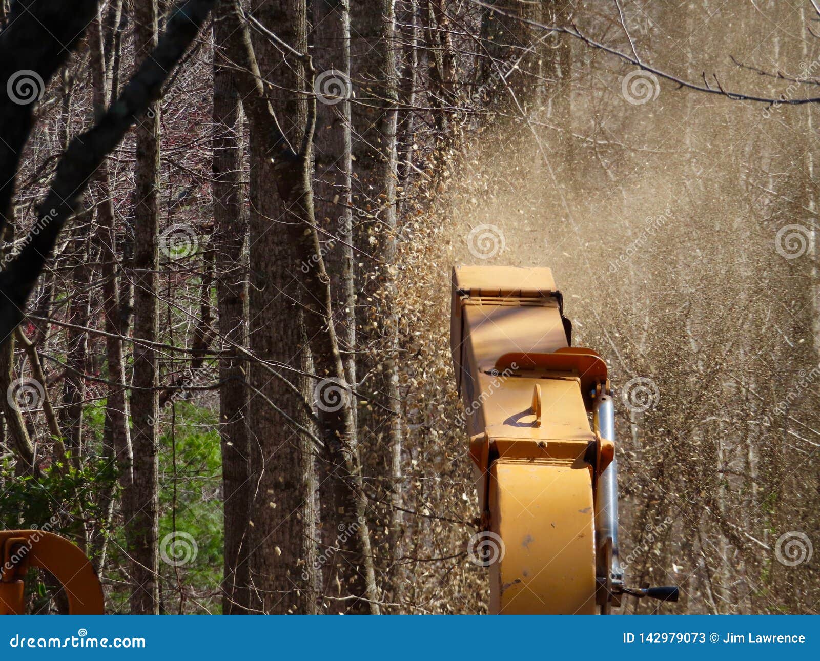 Clearing the Forest stock image. Image of logs, north - 142979073