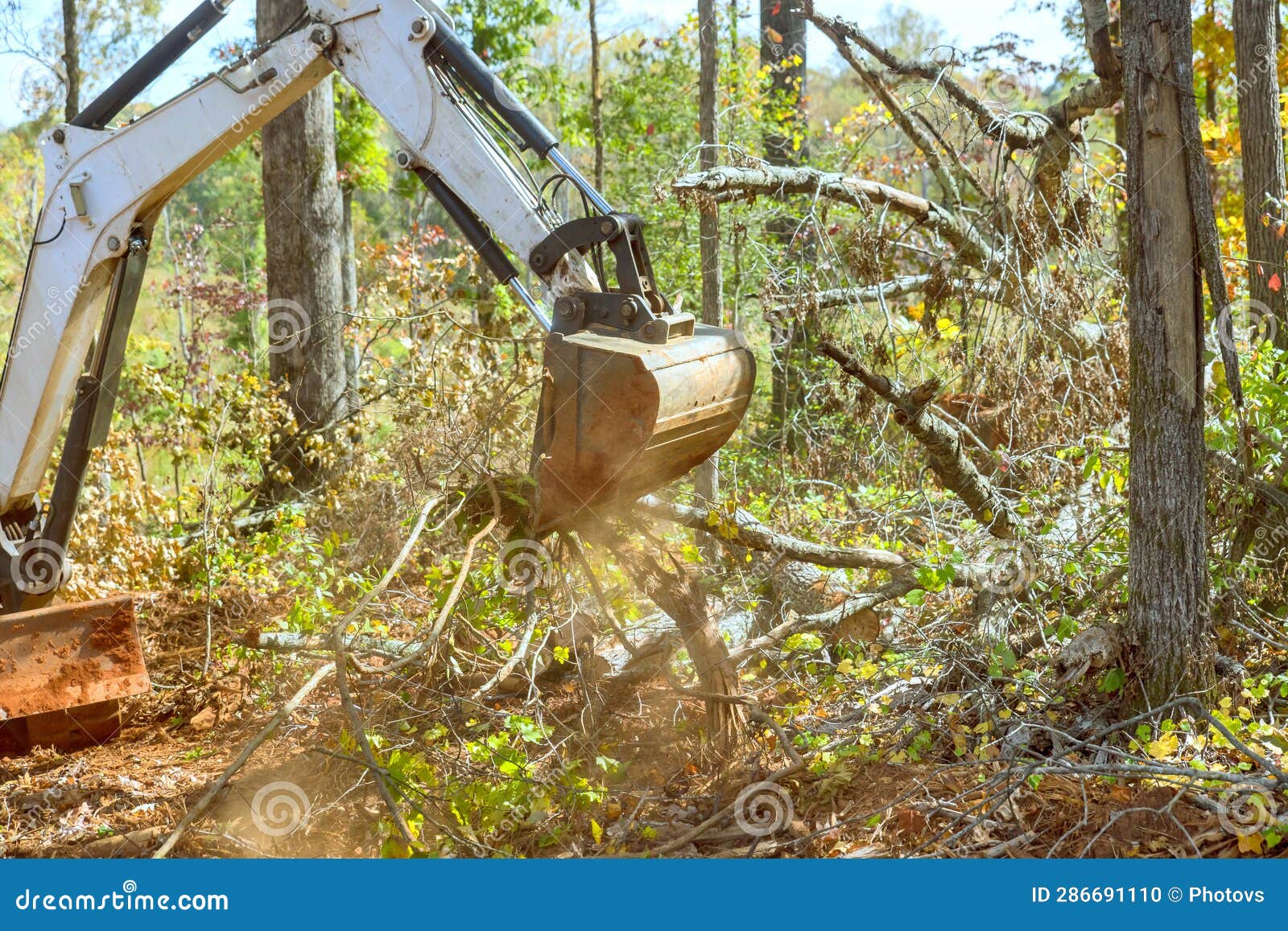 Clearing Land from Remove Roots for Housing Complex Construction Using ...