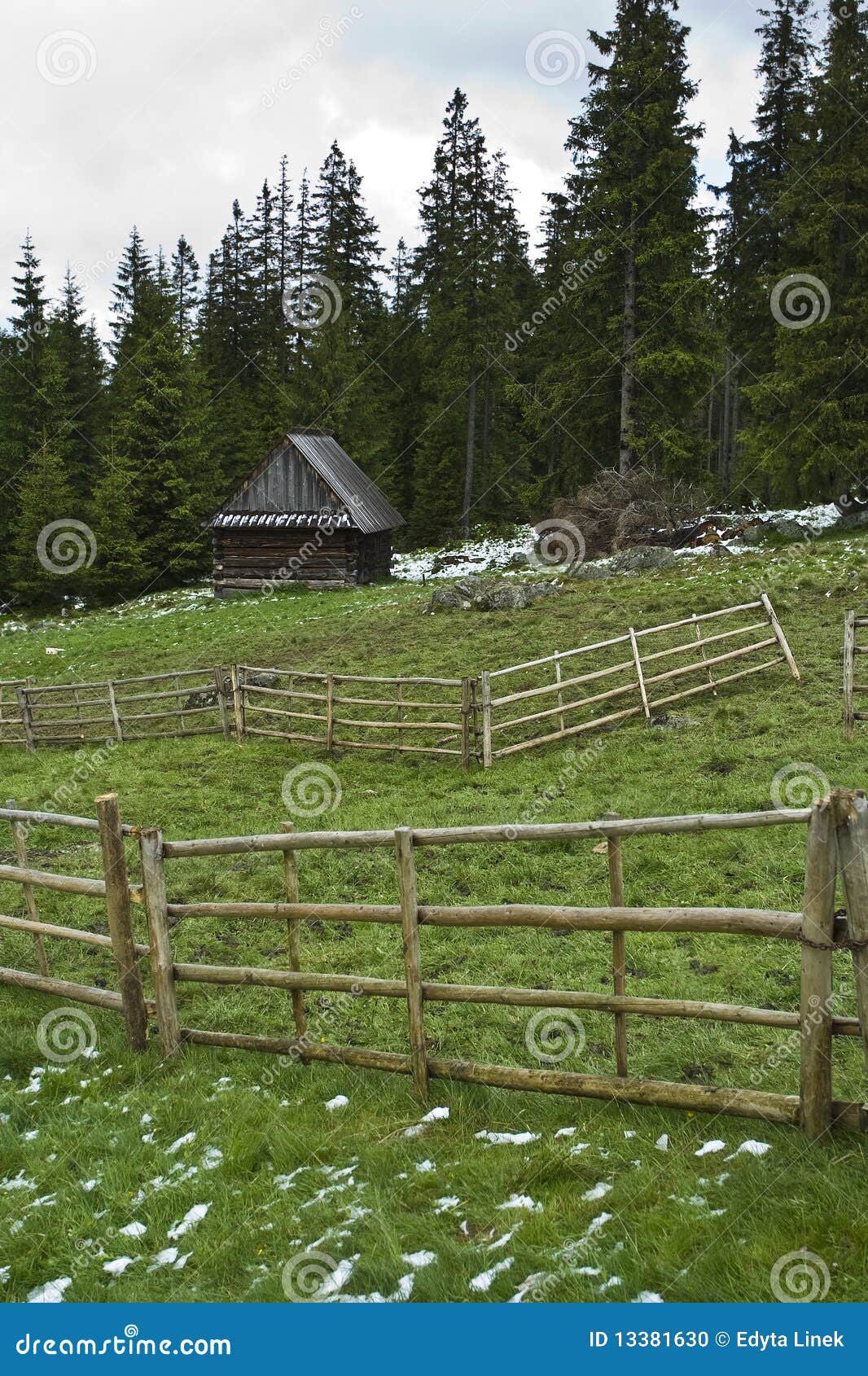 Clearing in the mountains stock photo. Image of sheep - 13381630