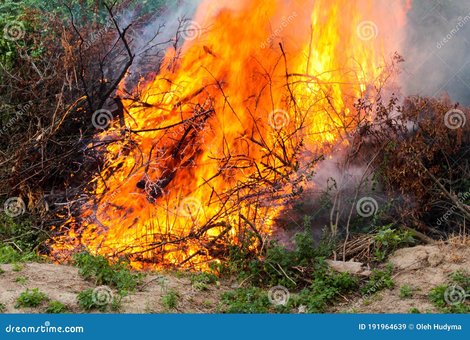 Clearing the Territory Burning Brushwood of Tree Branches Stock Image ...