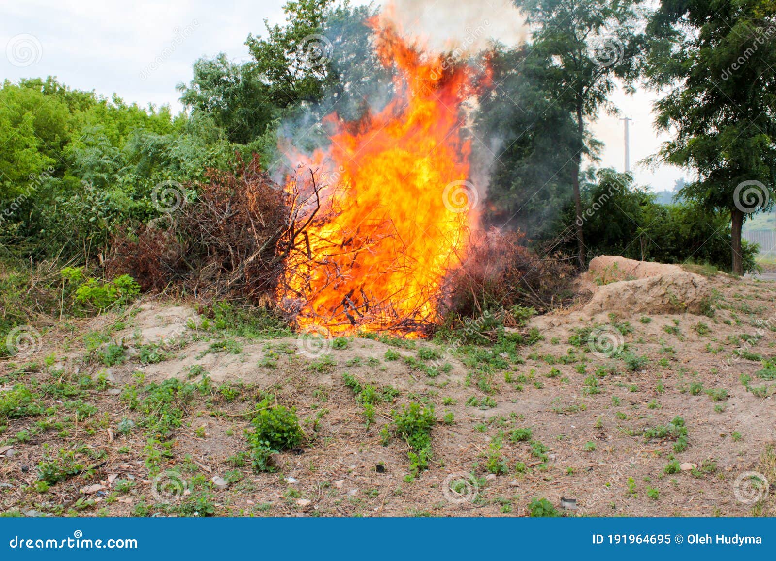Clearing the Territory Burning Brushwood of Tree Branches Stock Image ...
