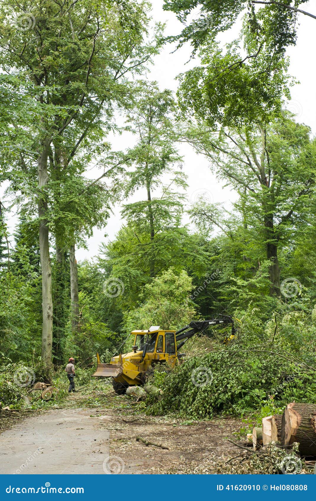 Clearing Work after Hurricane Editorial Image - Image of thunderstorm ...